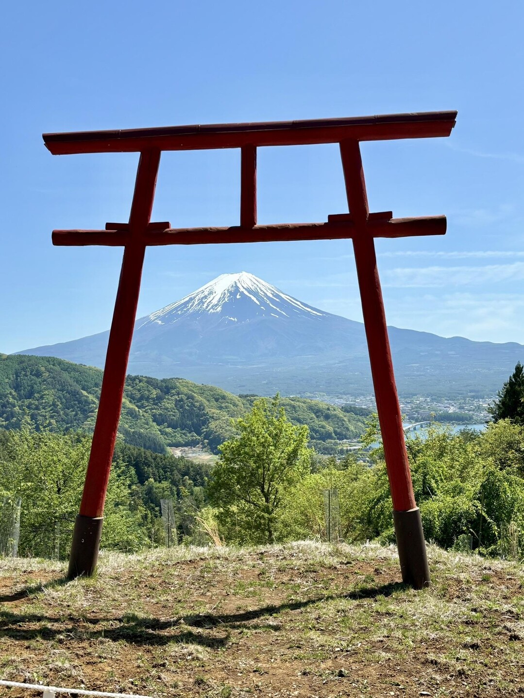GWに家族旅行で河口湖に行きました。河口... / ホワイトタイガーさんのモーメント | YAMAP / ヤマップ