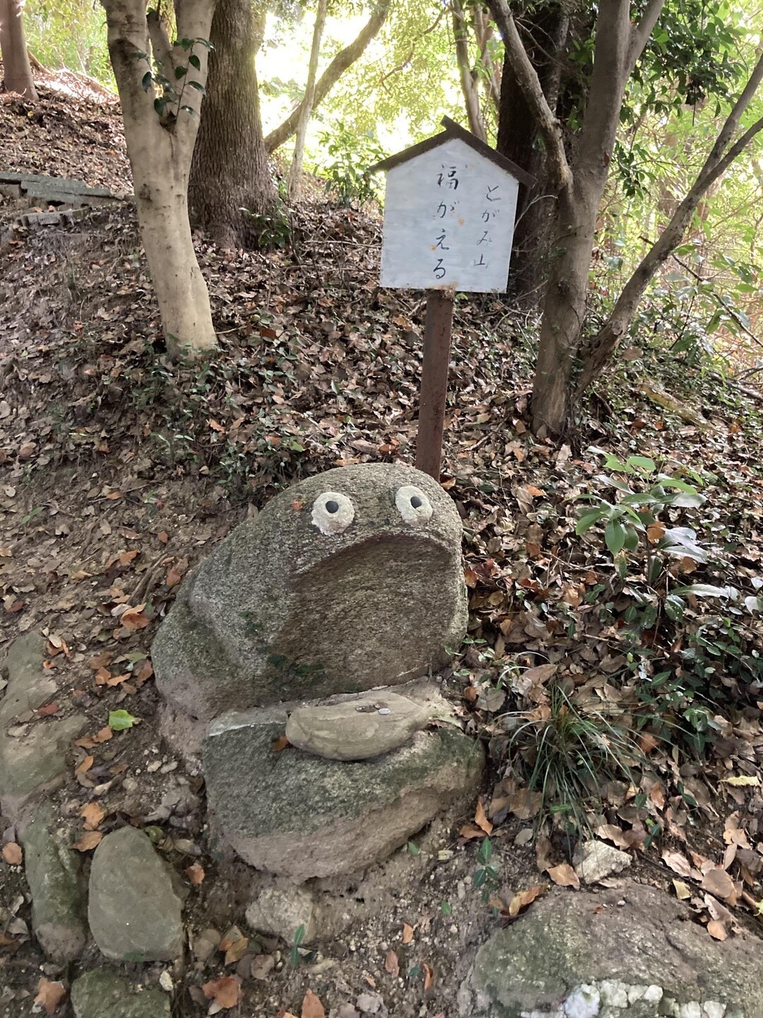 御堂山・砥神山・原山 / HOMEさんの五井山・宮路山・御堂山の活動日記 | YAMAP / ヤマップ
