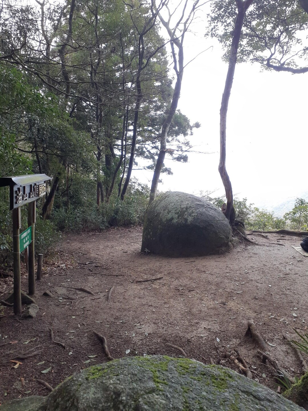 5回目の油山⛰️ / CASIOPEAさんの油山・荒平山・片縄山の活動データ | YAMAP / ヤマップ