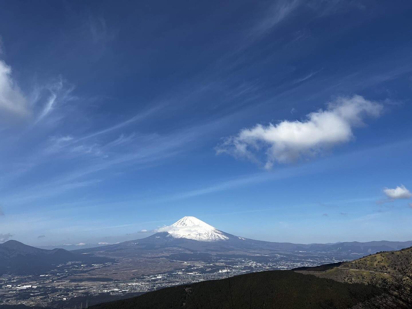 塔ノ峰・海ノ平・鷹巣山・浅間山・城山(箱根町)・湯坂山 / yuhao.Zさんの箱根山・神山の活動データ | YAMAP / ヤマップ