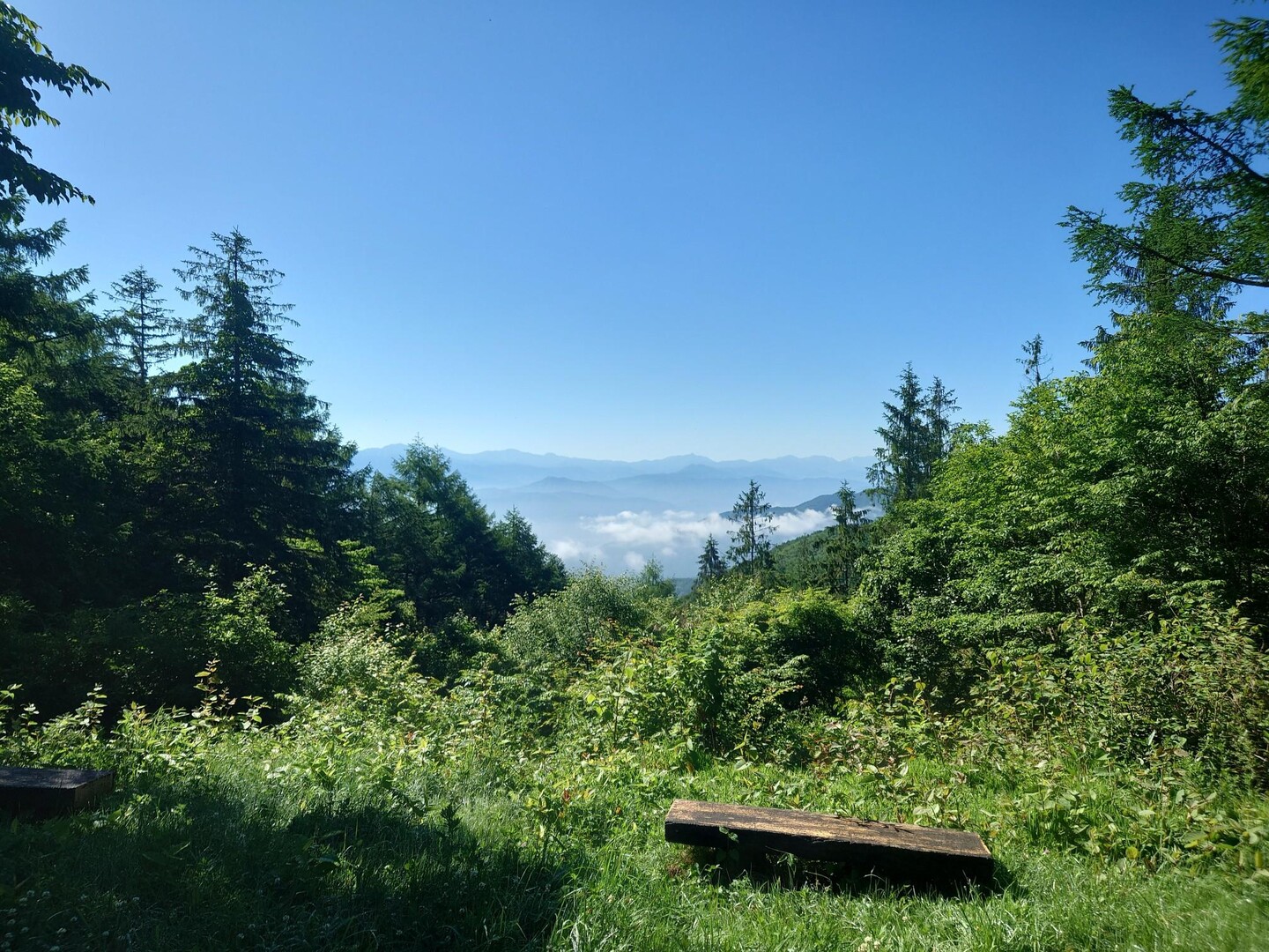 経ヶ岳6/19 / TKSさんの経ヶ岳・坊主岳の活動データ | YAMAP / ヤマップ