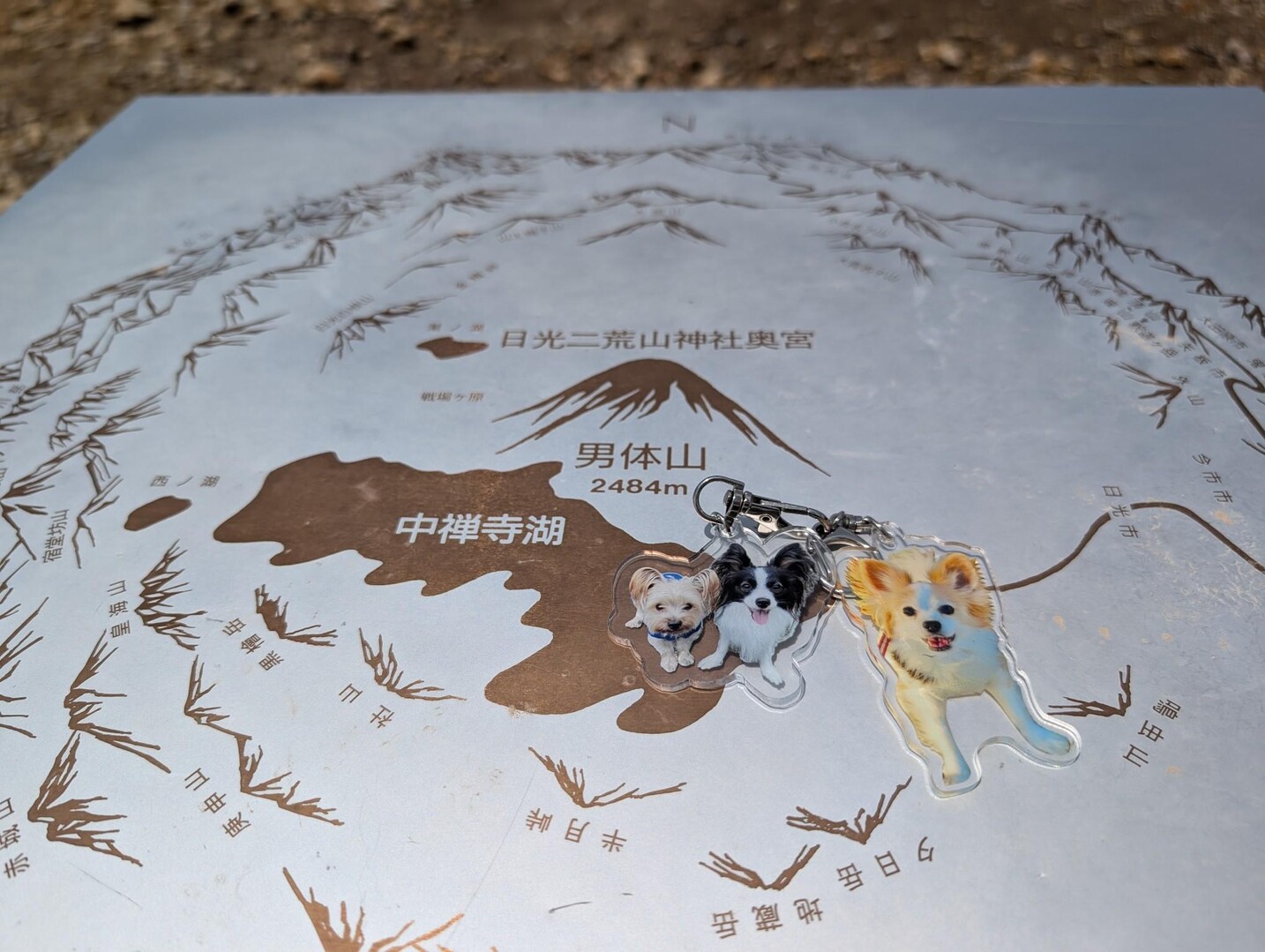 THE 男体山 200座達成 / Mario0131さんの男体山の活動データ | YAMAP / ヤマップ