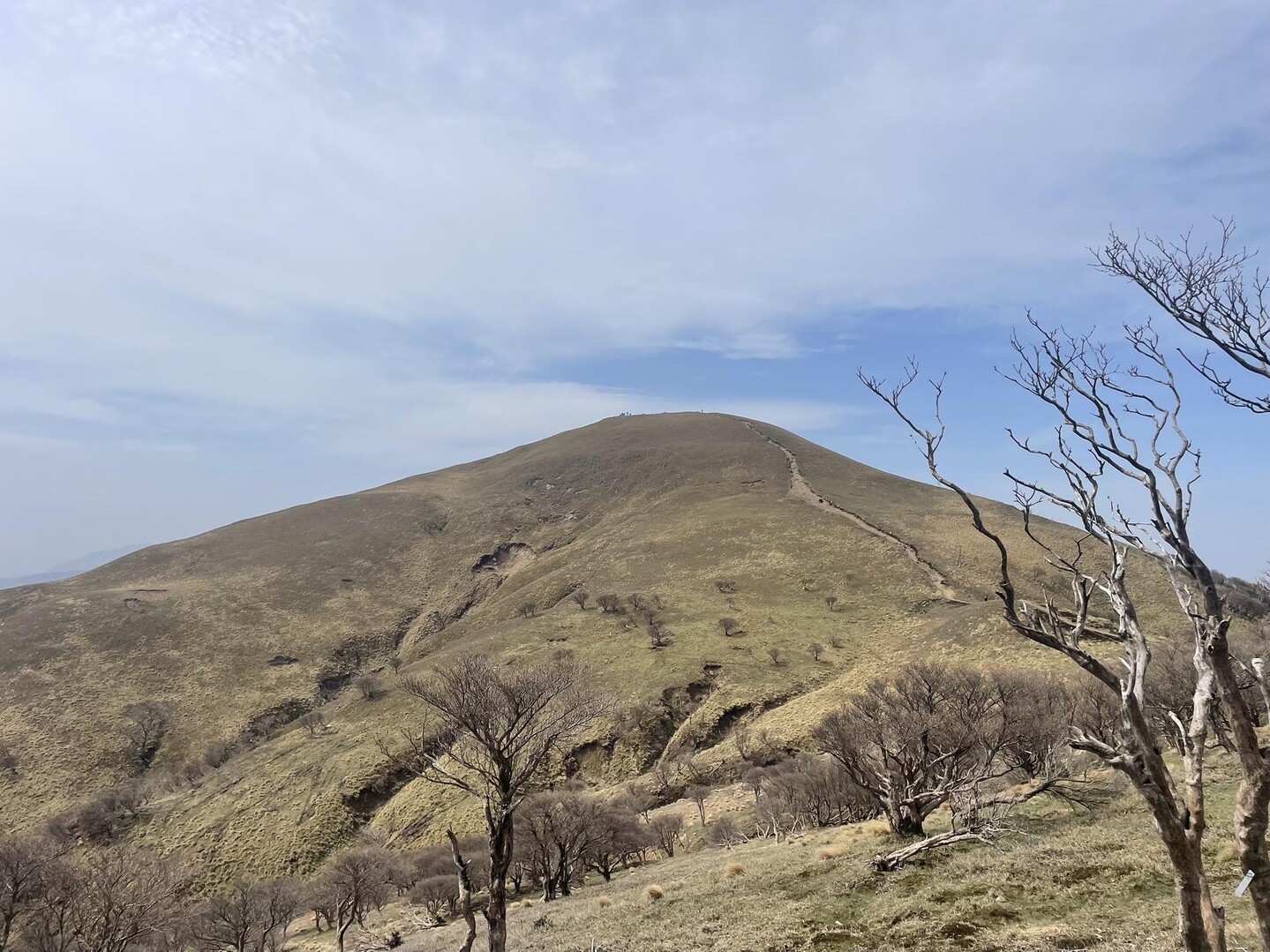 竜ヶ岳 / shojiさんの竜ヶ岳の活動データ | YAMAP / ヤマップ