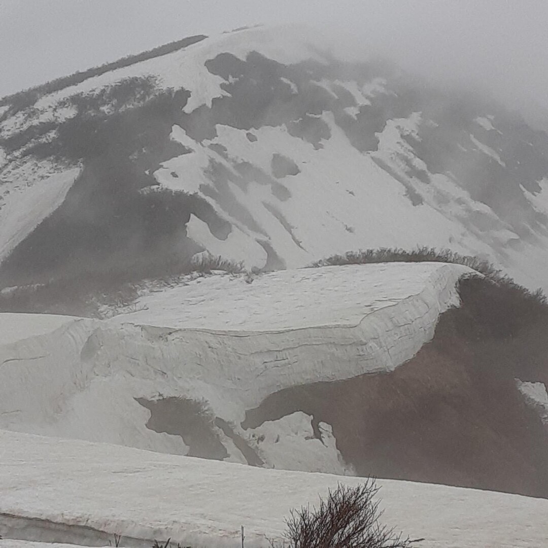 守門岳【DNF】青雲岳*3 / DKさんの守門岳・大岳・網張山の活動日記 | YAMAP / ヤマップ
