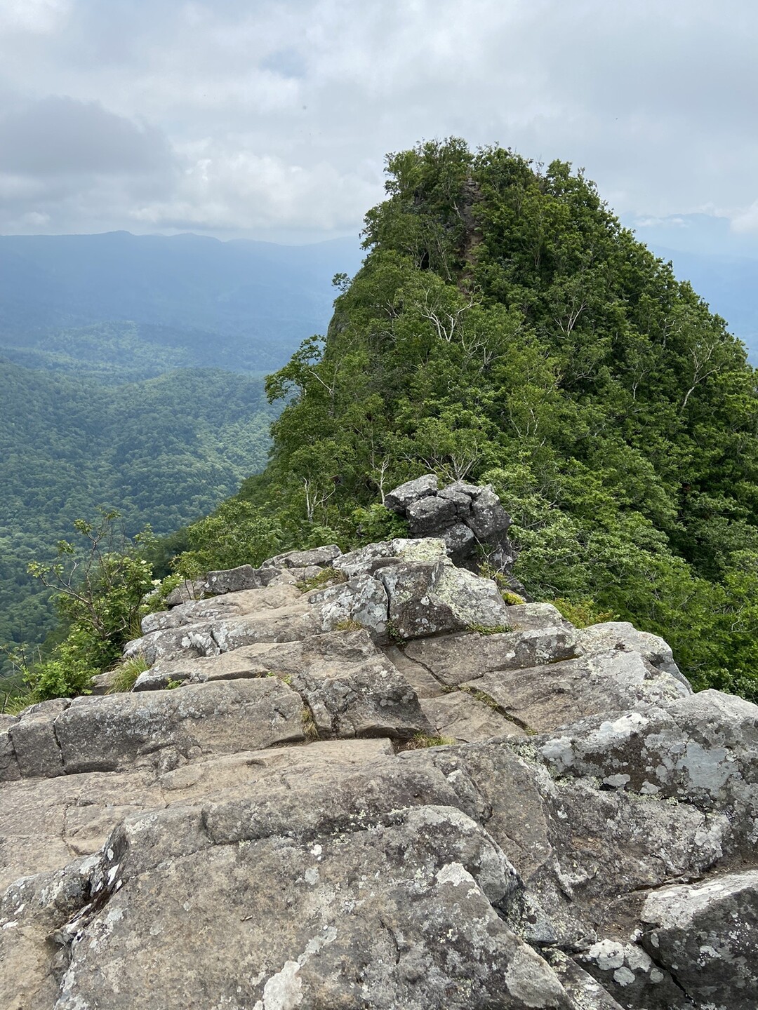 黄金山 / Michiyoさんの黄金山の活動データ | YAMAP / ヤマップ