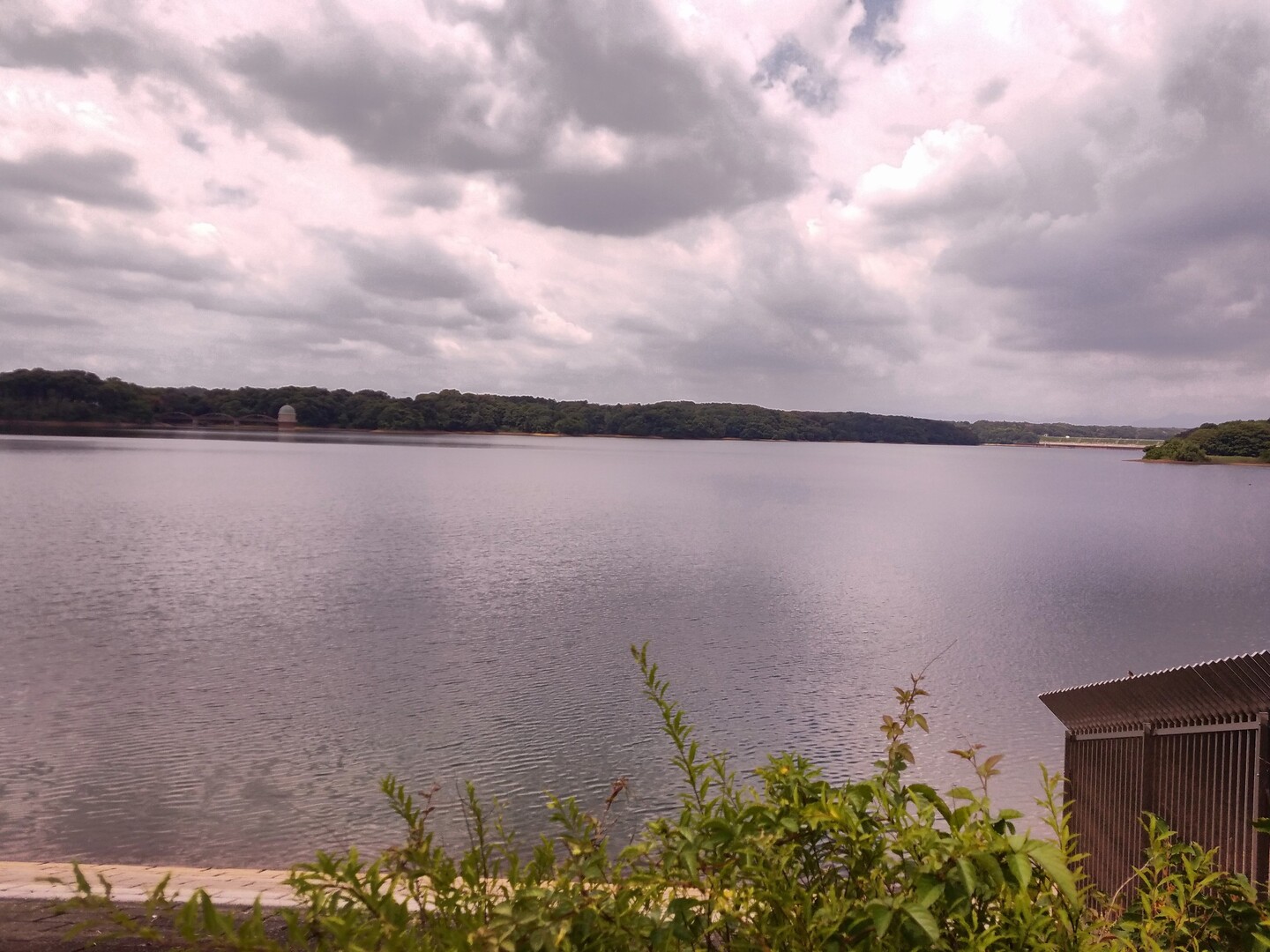 愛宕山・お伊勢山・六道山・狭山富士・八国山 / el28さんの六道山 ・多摩湖・狭山湖の活動データ | YAMAP / ヤマップ