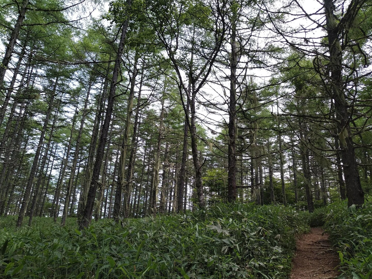 nobss さんの投稿したフィールドメモ | YAMAP / ヤマップ