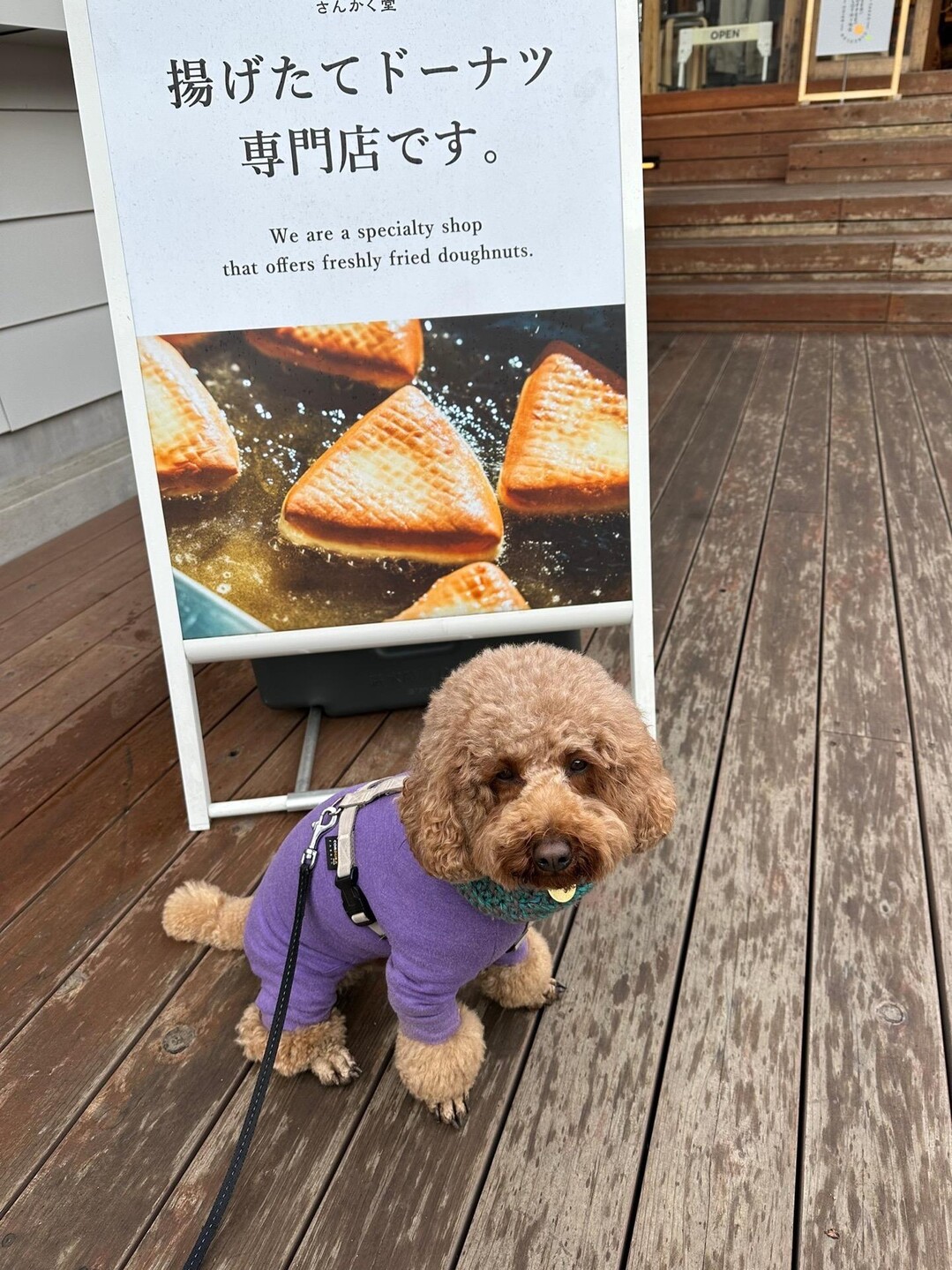 高尾山（稲荷山〜3号路〜琵琶滝ルート） / ぽんずPAPAさんの高尾山・陣馬山・景信山の活動データ | YAMAP / ヤマップ