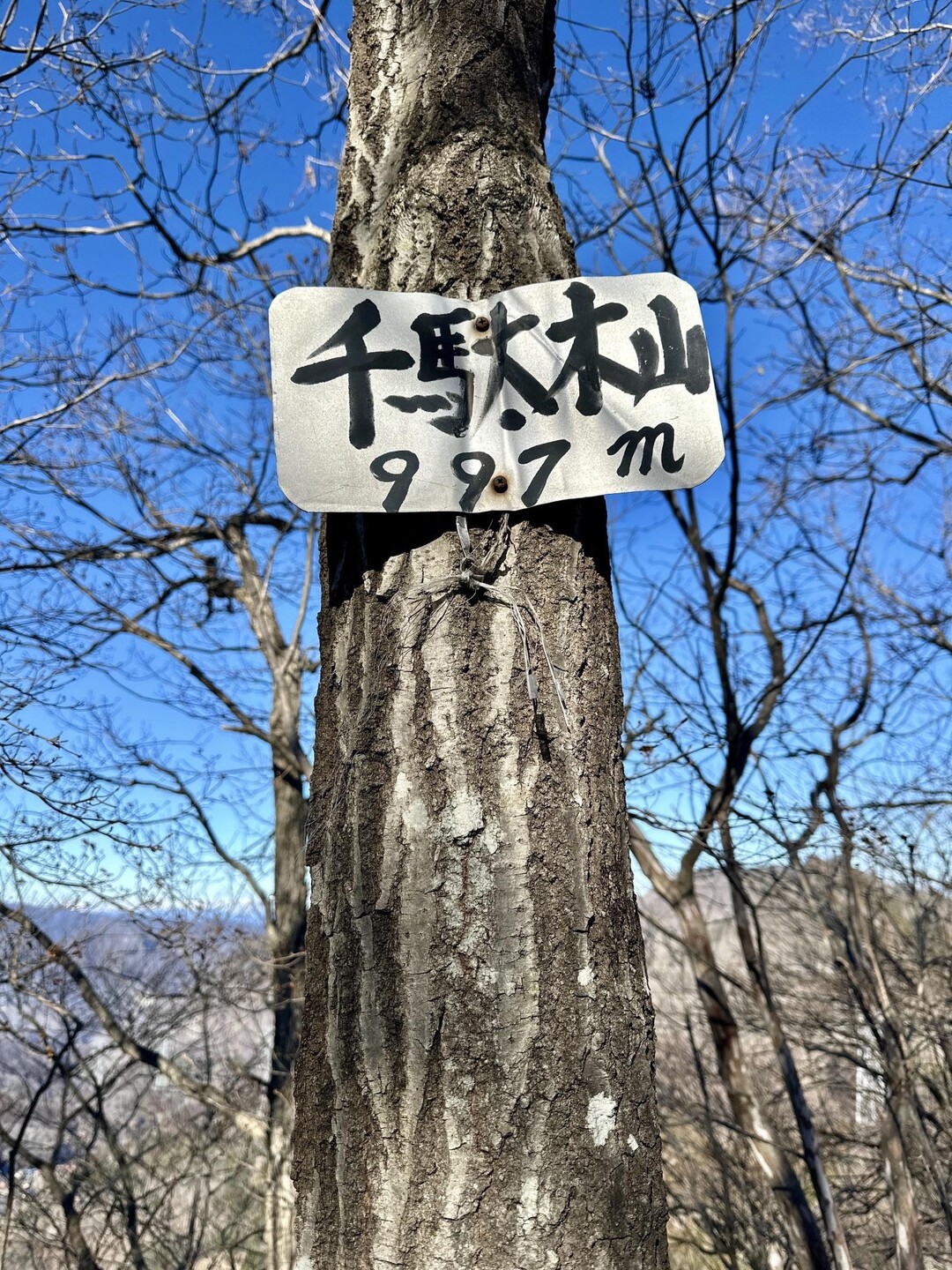 西上州 千駄木山に初登頂 / qkaruさんの高岩の活動データ | YAMAP / ヤマップ