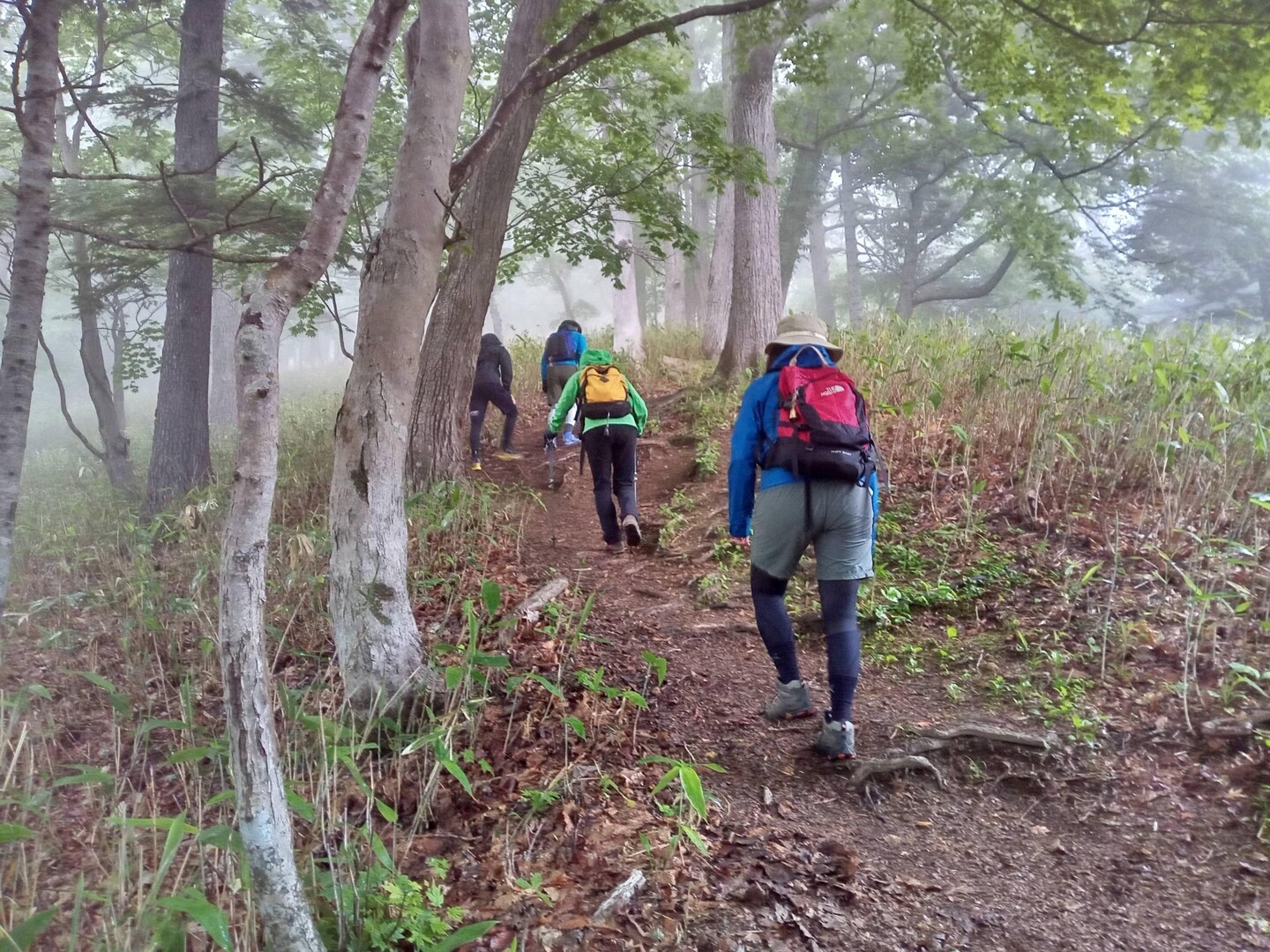 イチャンコッペ山 / kuri panさんのイチャンコッペ山の活動データ | YAMAP / ヤマップ