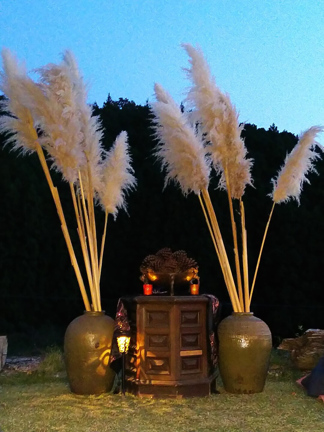 只今、山の中でブルームーンを見ながら二胡... / Sho_P.rabbitさんのモーメント | YAMAP / ヤマップ