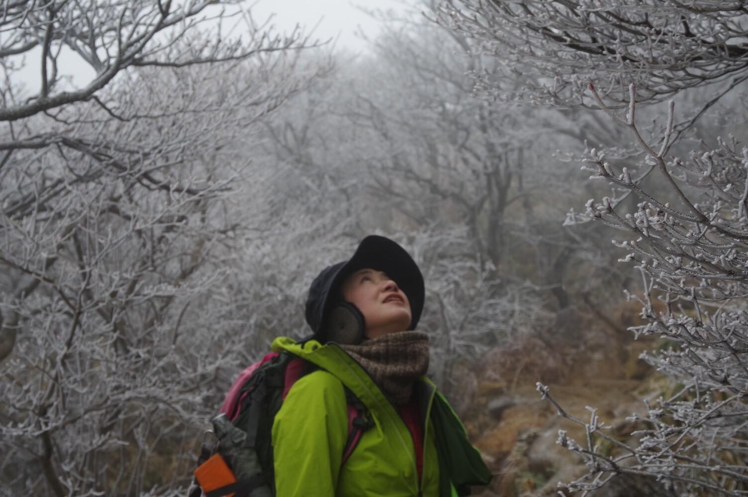風の音を BGMに 霧氷道 / hirotakaさんの九重山（久住山）・大船山・星生山の活動データ | YAMAP / ヤマップ