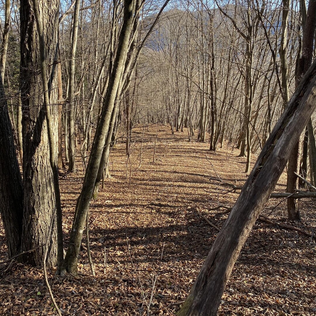 J-BOYさんの投稿したフィールドメモ | YAMAP / ヤマップ