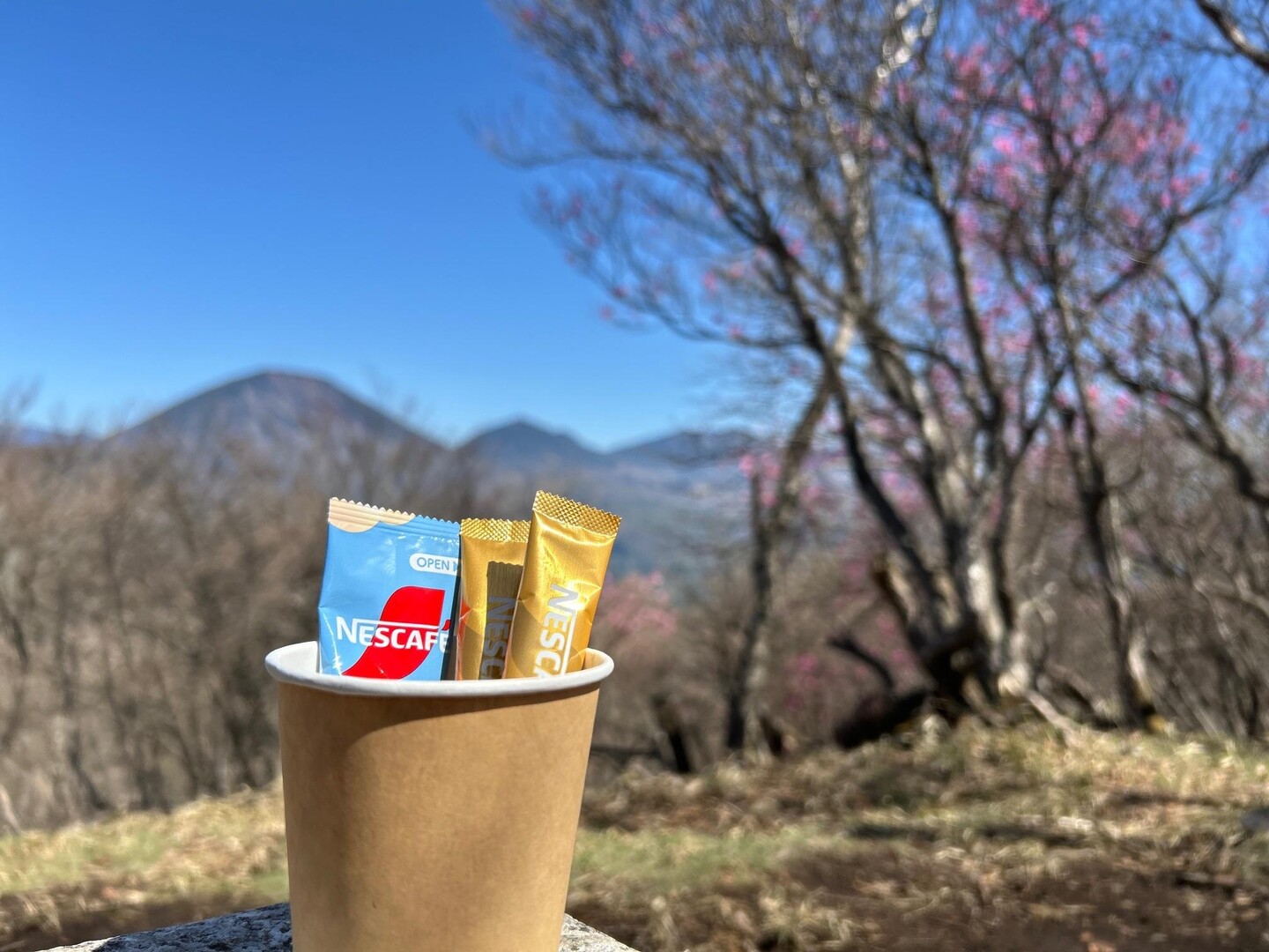 薬師岳・夕日岳 ネスレば… / papeさんの夕日岳・薬師岳の活動データ | YAMAP / ヤマップ