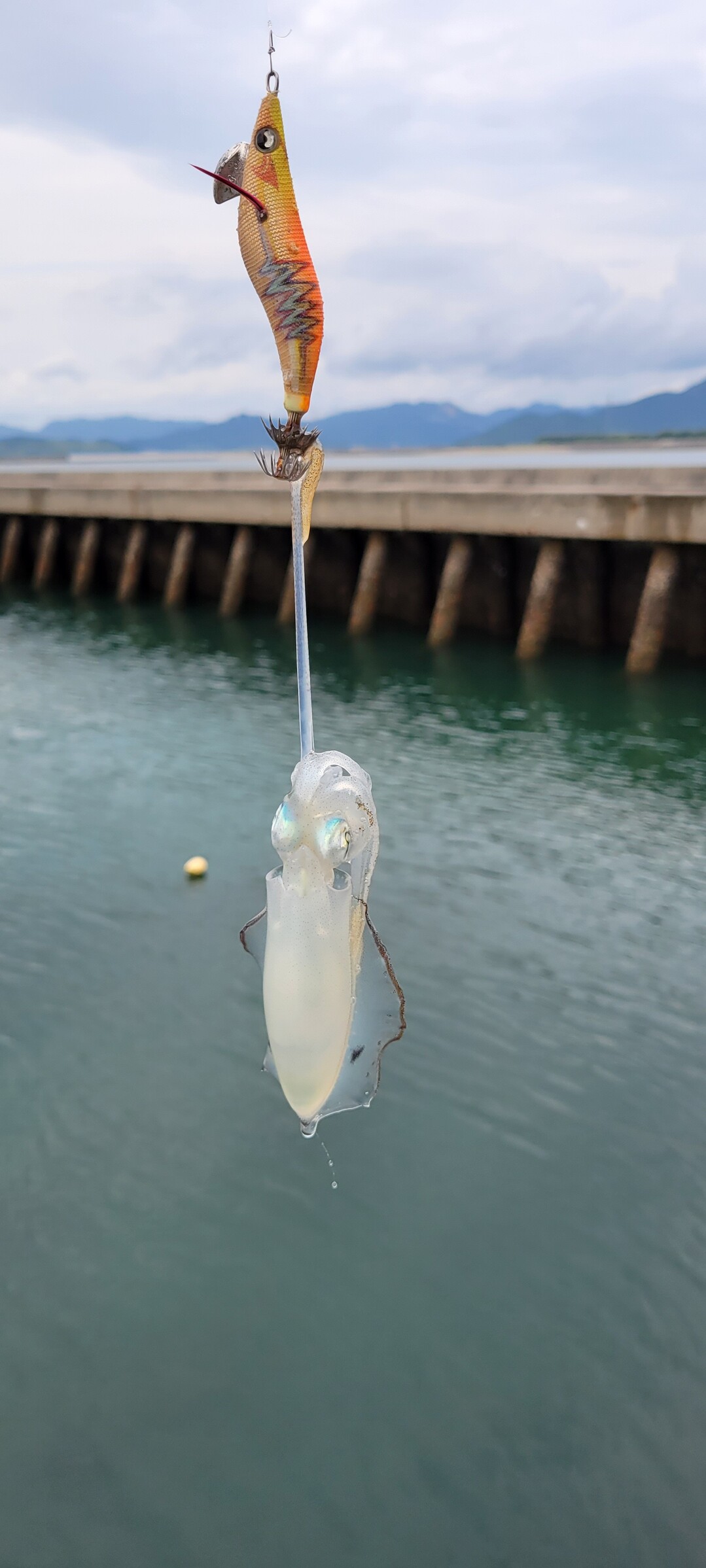 今日は久しぶりにエギング🦑 / たーぼーさんのモーメント | YAMAP / ヤマップ