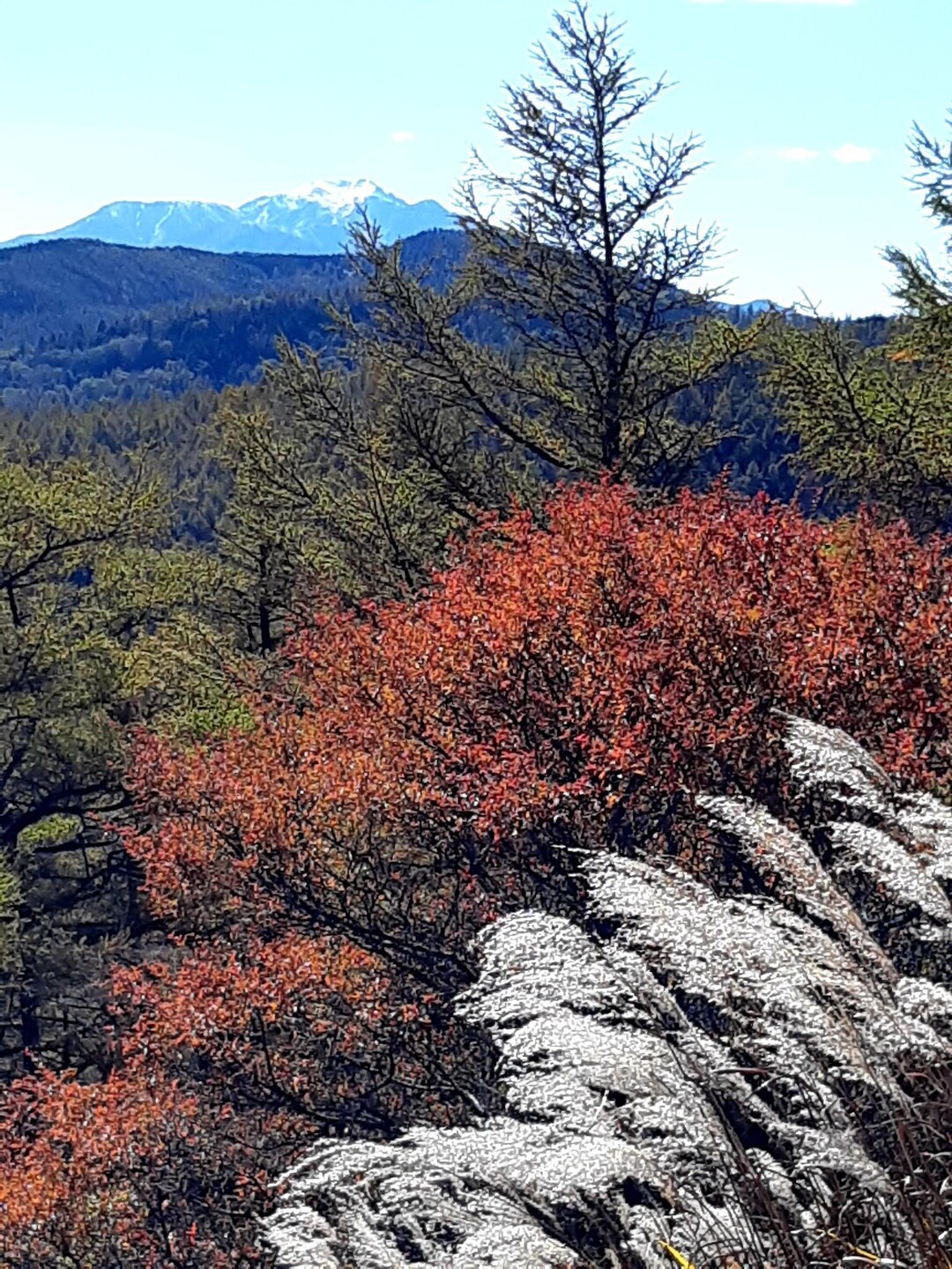 入笠山 / Heroさんの入笠山の活動データ | YAMAP / ヤマップ