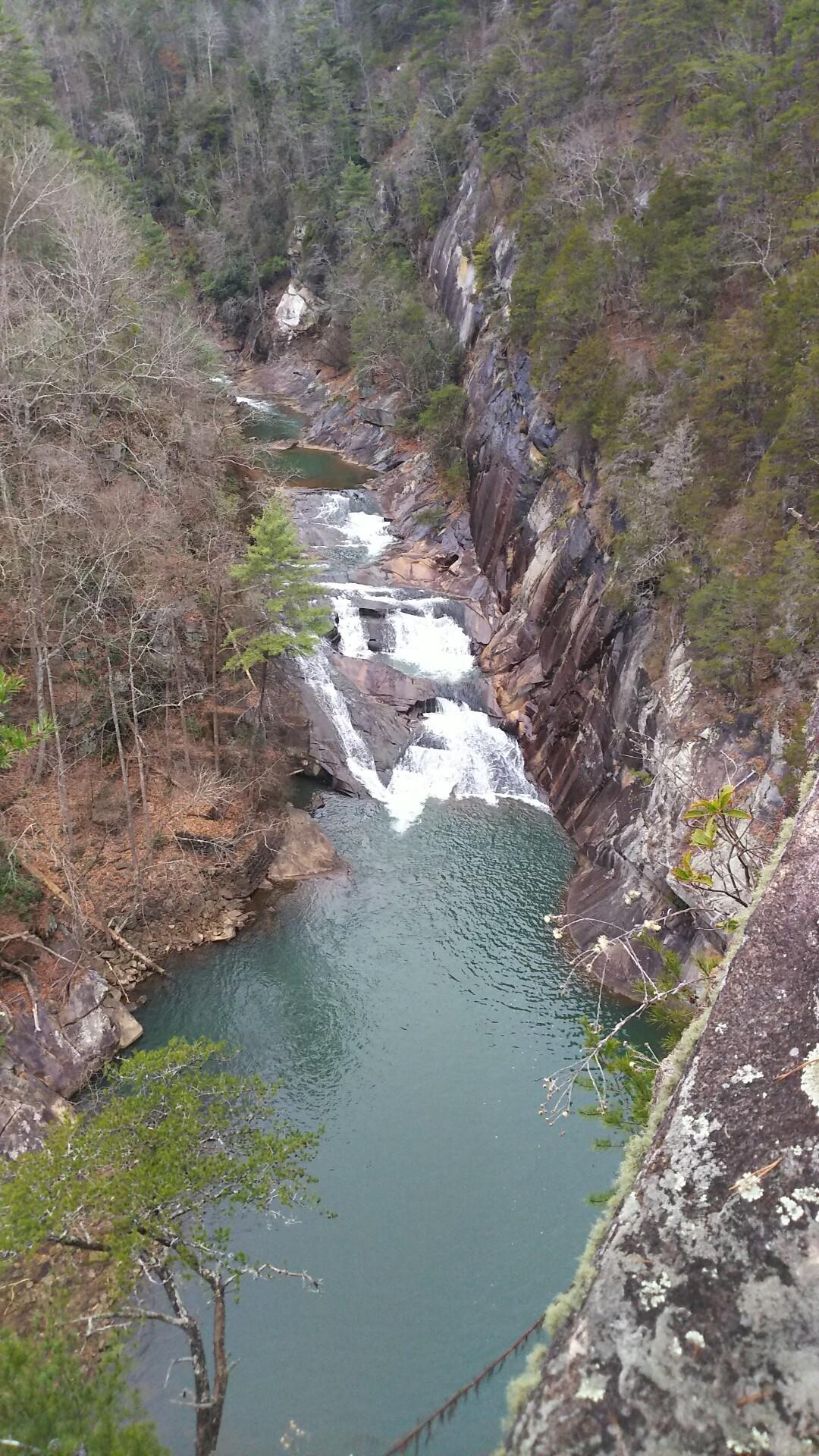 2019年1月12日 ジョージア州 Ta... / むらむら仮面さんのモーメント | YAMAP / ヤマップ