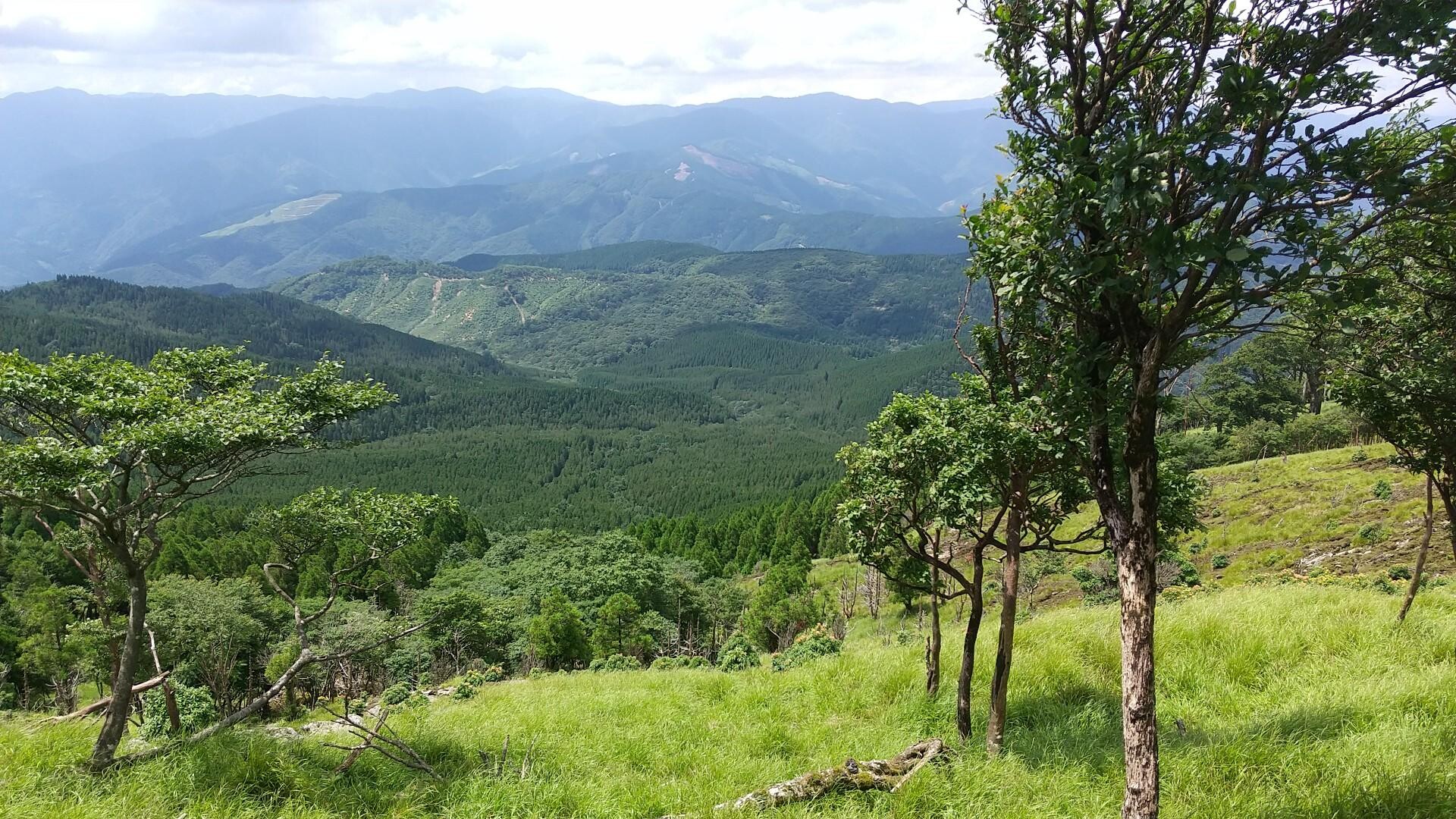YAMAP登頂700座と獲得標高200km 江代山・馬口岳 / まさ3ちゃんさんの江代山（津野岳）・馬口岳の活動データ | YAMAP / ヤマップ