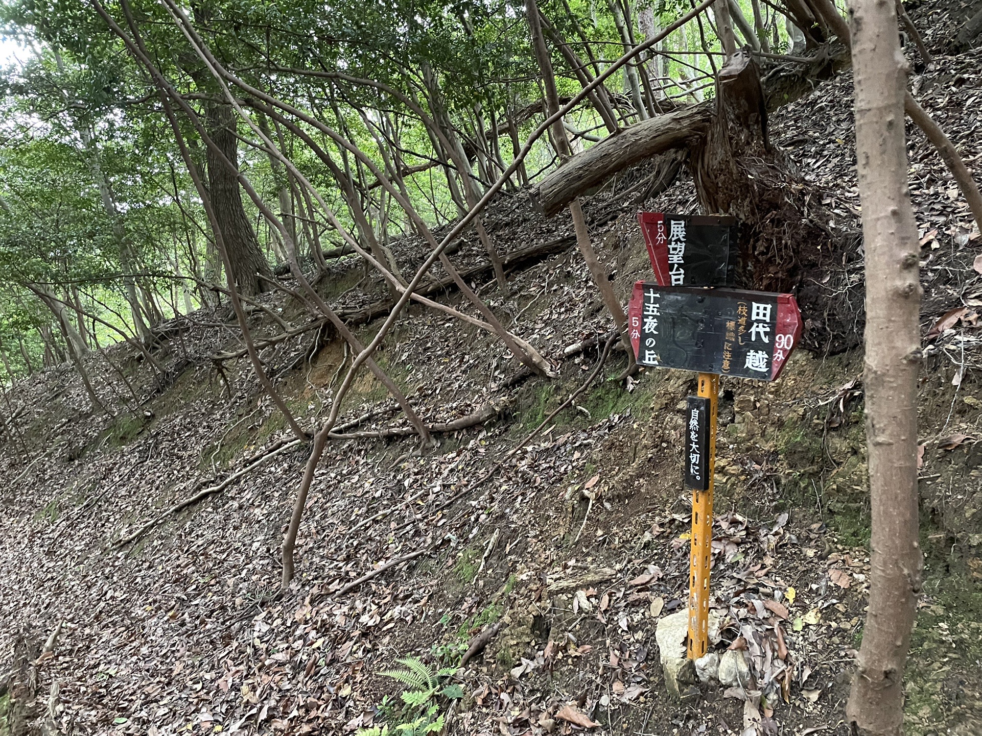 osamさんの投稿したフィールドメモ | YAMAP / ヤマップ