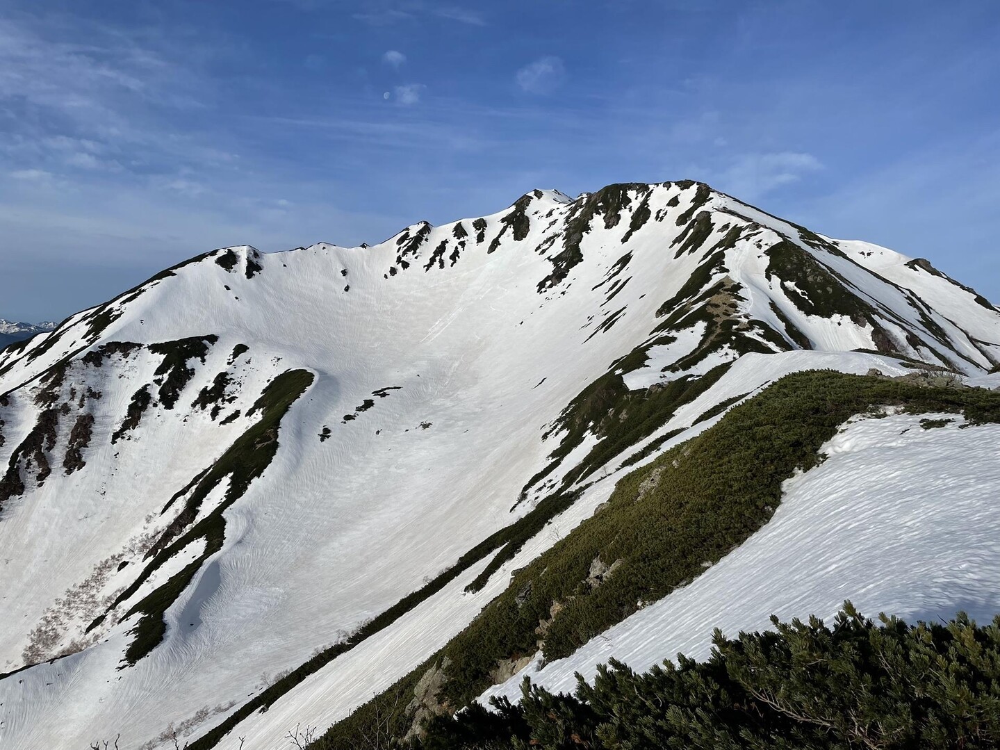 残雪期・南ア〜早川尾根 / algonoteさんの鳳凰山・地蔵岳・観音岳・薬師岳の活動データ | YAMAP / ヤマップ