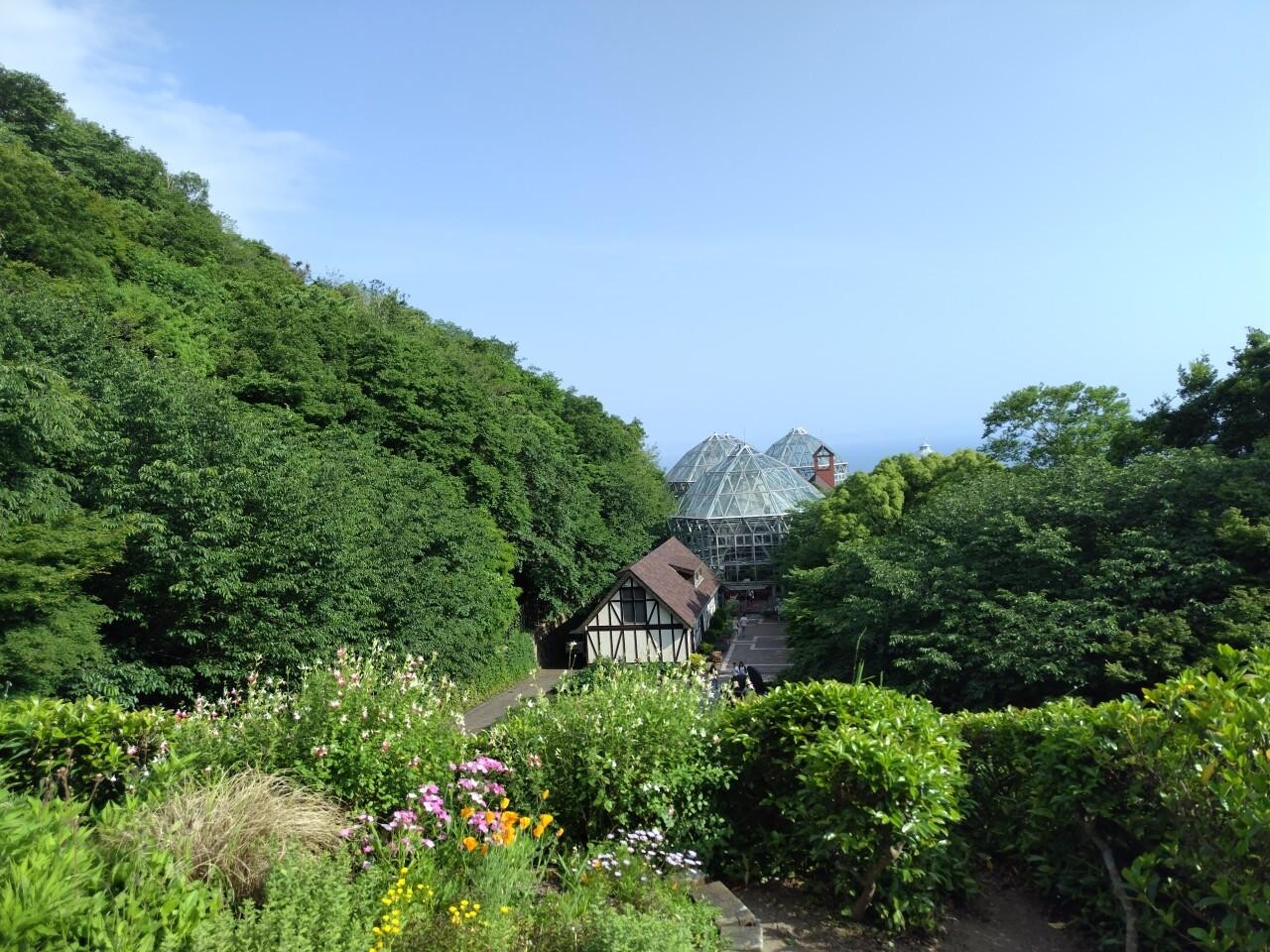 布引ハーブ園 / shigさんの六甲山・長峰山・摩耶山の活動データ | YAMAP / ヤマップ