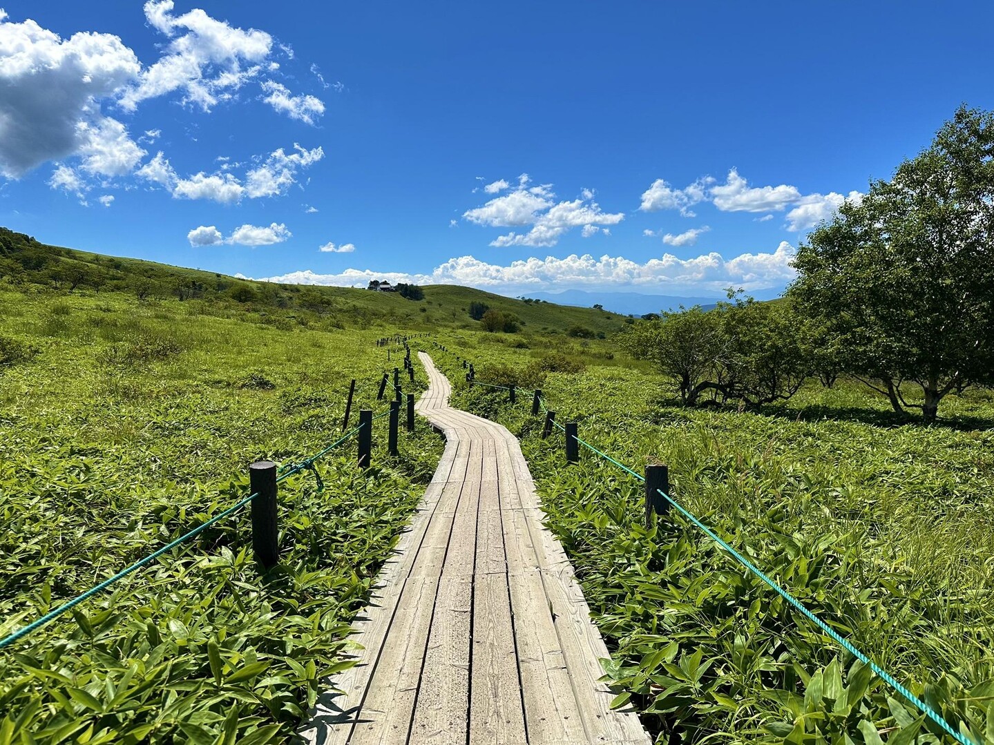 霧ヶ峰（車山） / kuniさんの霧ヶ峰・車山・大笹峰の活動データ | YAMAP / ヤマップ