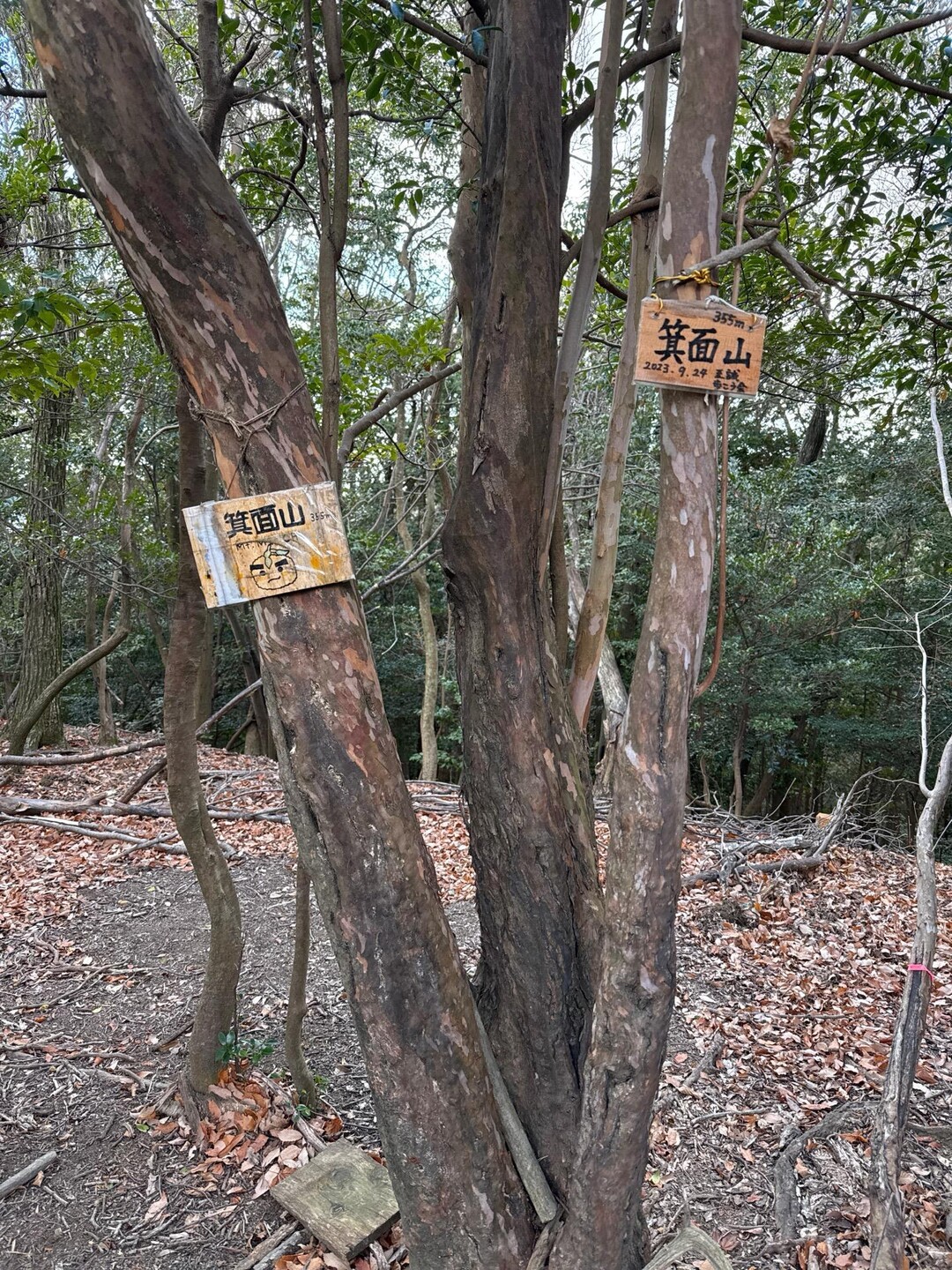 五月山・六個山・箕面山 / zenzi （旧よっちゃん）さんの六個山・鉢伏山・明ヶ田尾山・五月山の活動データ | YAMAP / ヤマップ