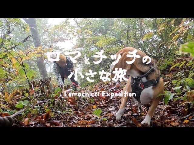 何ゆえに犬と共に山を目指すのか？ その... / 山旅犬🐶ロマチッチ lomachicciさんのモーメント | YAMAP / ヤマップ