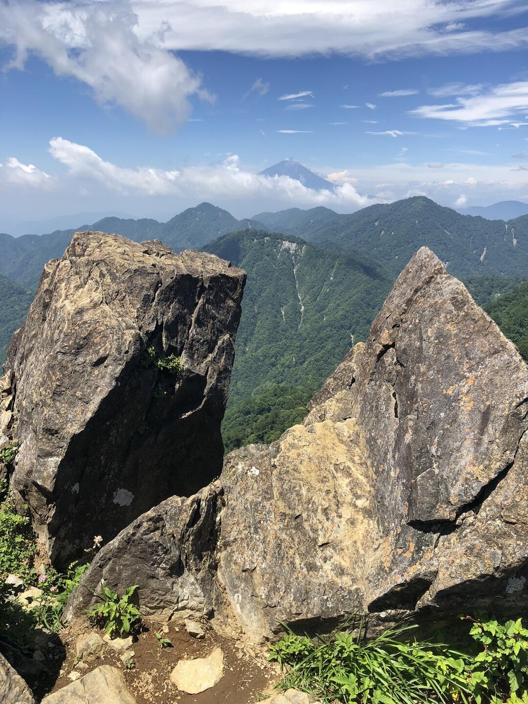 炎天下の中、初めての大倉ー蛭ヶ岳ピストン / hikoさんの塔ノ岳・丹沢山・蛭ヶ岳の活動データ | YAMAP / ヤマップ