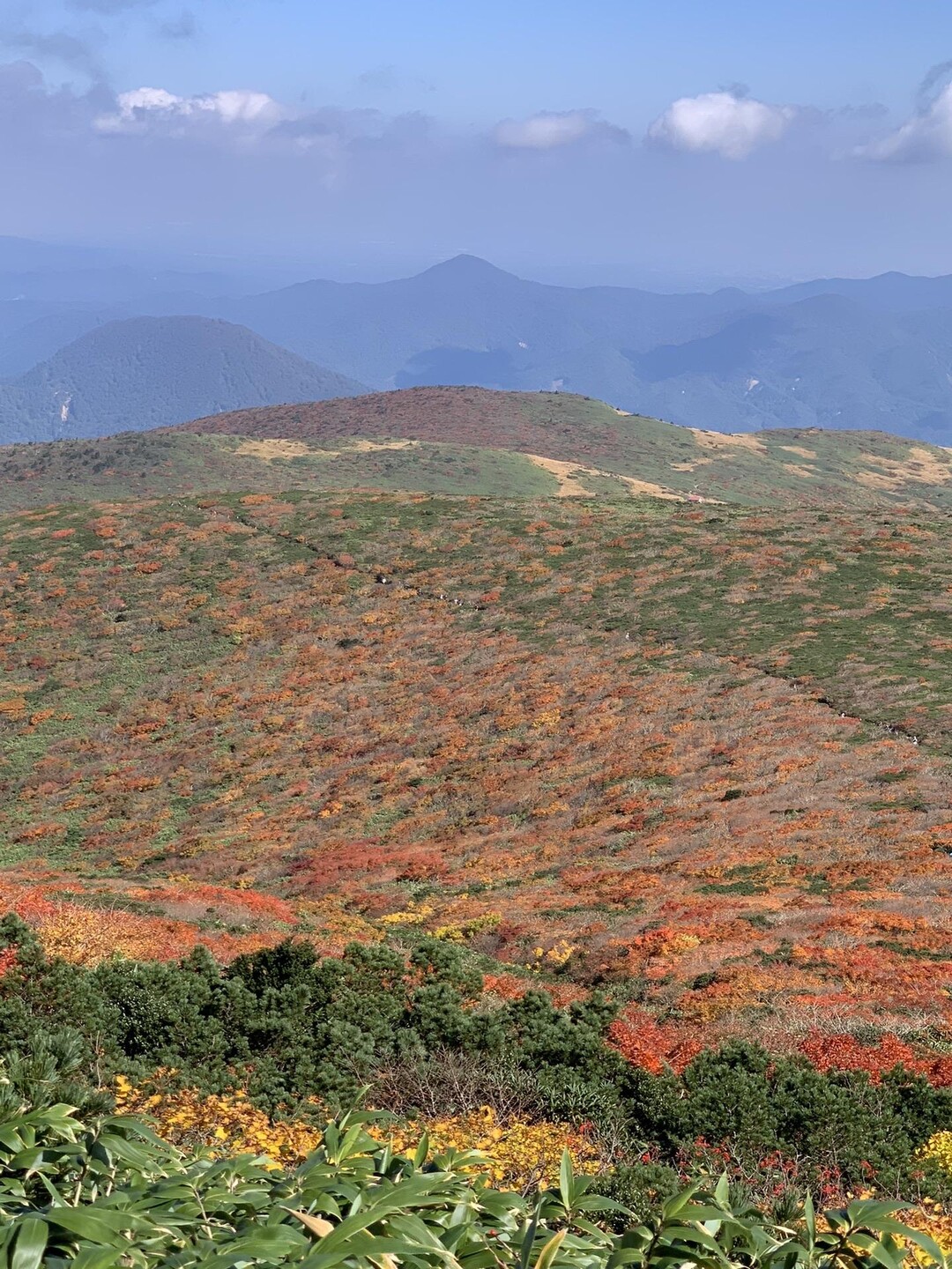 【神の】栗駒山【絨毯】 / あざらしさんの栗駒山（須川岳）・秣岳・虚空蔵山の活動日記 | YAMAP / ヤマップ