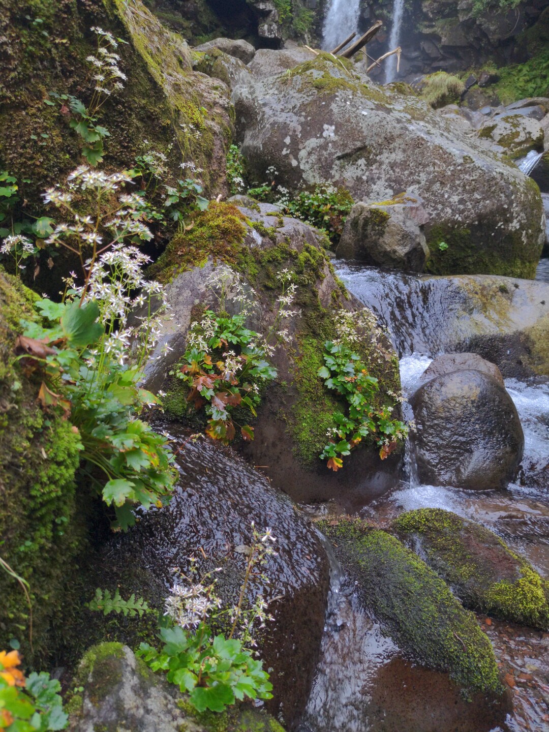 teto助さんの投稿したフィールドメモ | YAMAP / ヤマップ
