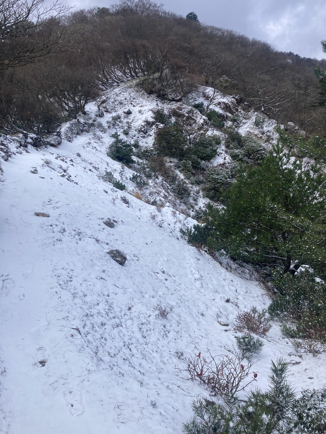 三池岳・北仙香山・仙香山・釈迦ヶ岳・岩ヶ峰・北山 / Tyonkoroさんの釈迦ヶ岳の活動データ | YAMAP / ヤマップ