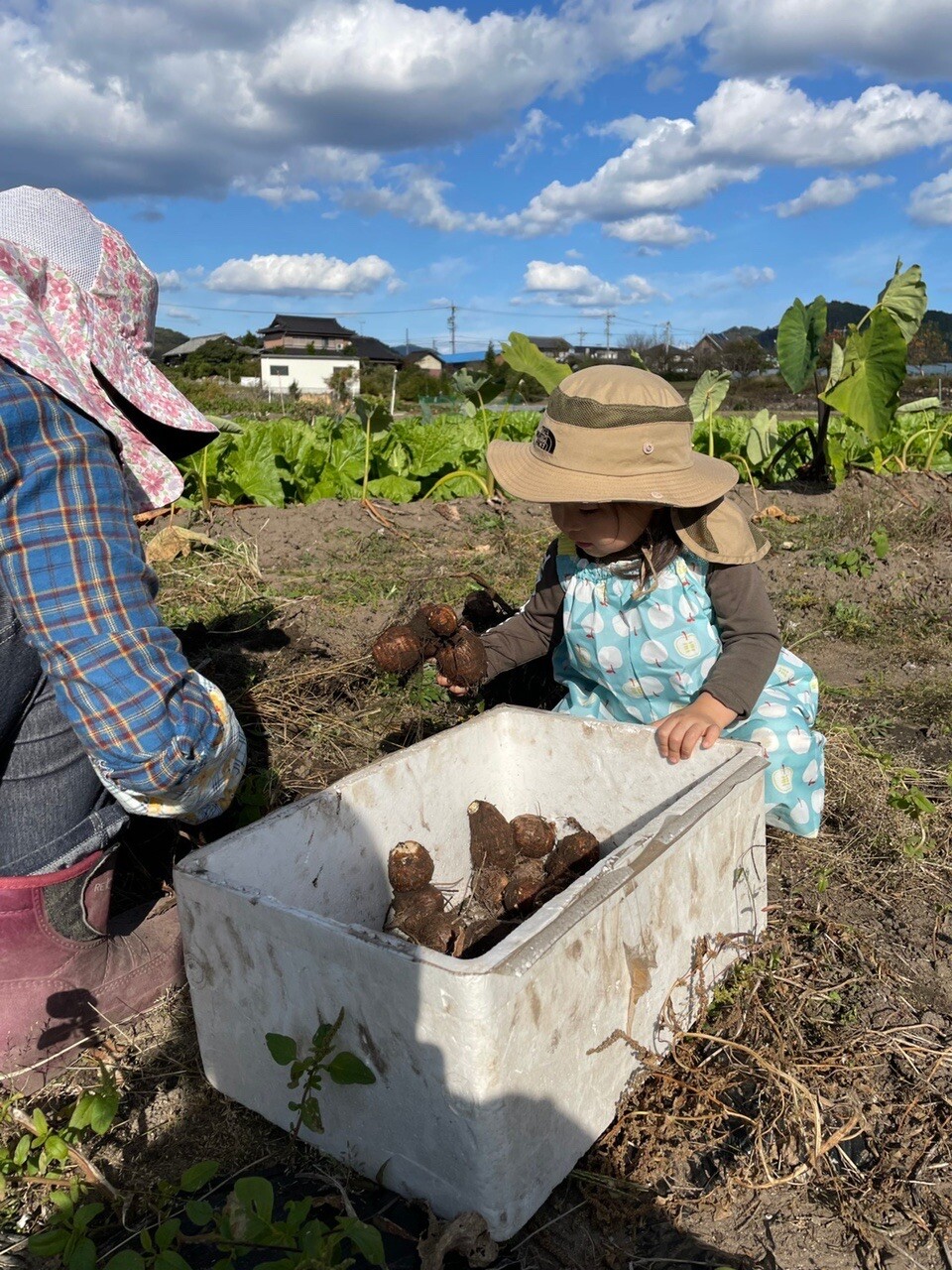 今月2歳になりそしてお姉ちゃんになった... / M K1218さんのモーメント | YAMAP / ヤマップ