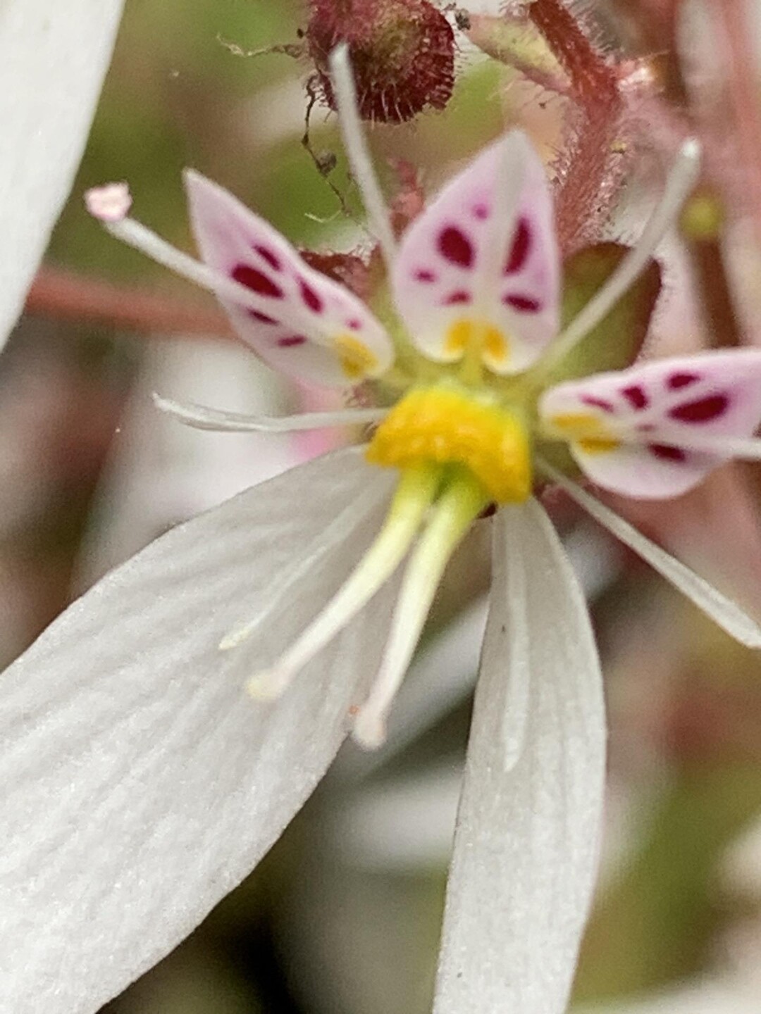 ジョギング中に見つけました / seekaさんのモーメント | YAMAP / ヤマップ