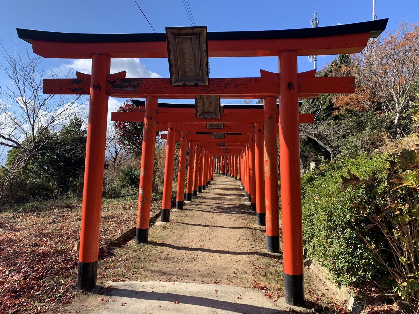 青春18切符で行く六甲全縦① 須磨浦公園駅〜鵯越駅 / Raraさんの六甲山・長峰山・摩耶山の活動データ | YAMAP / ヤマップ