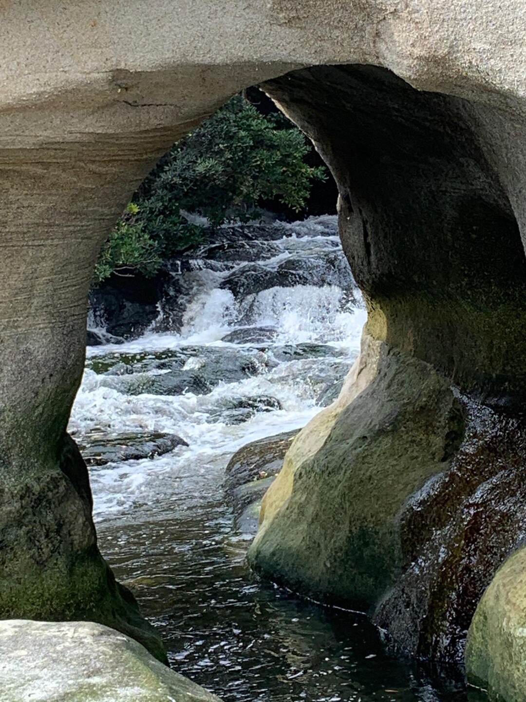 日立駅から海岸散策 / とうさんぽさんの日立アルプストレイル・神峰山（神峯山）の活動データ | YAMAP / ヤマップ