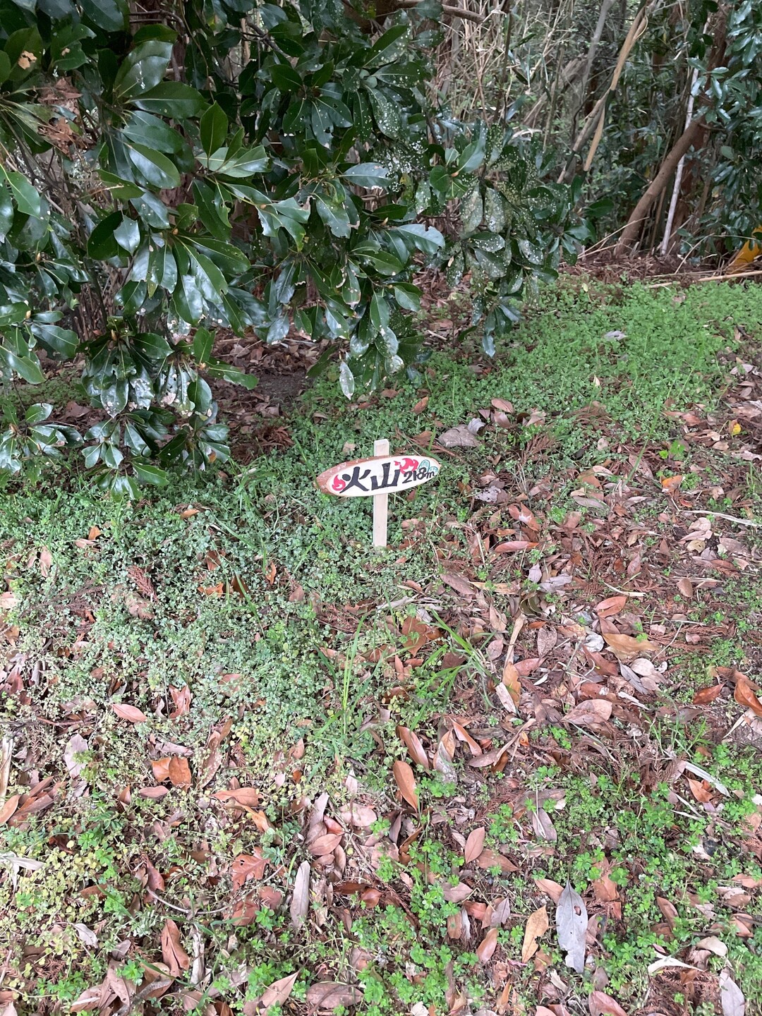 ヒロ（脱？皮下脂坊弁慶）さんの投稿したフィールドメモ | YAMAP / ヤマップ