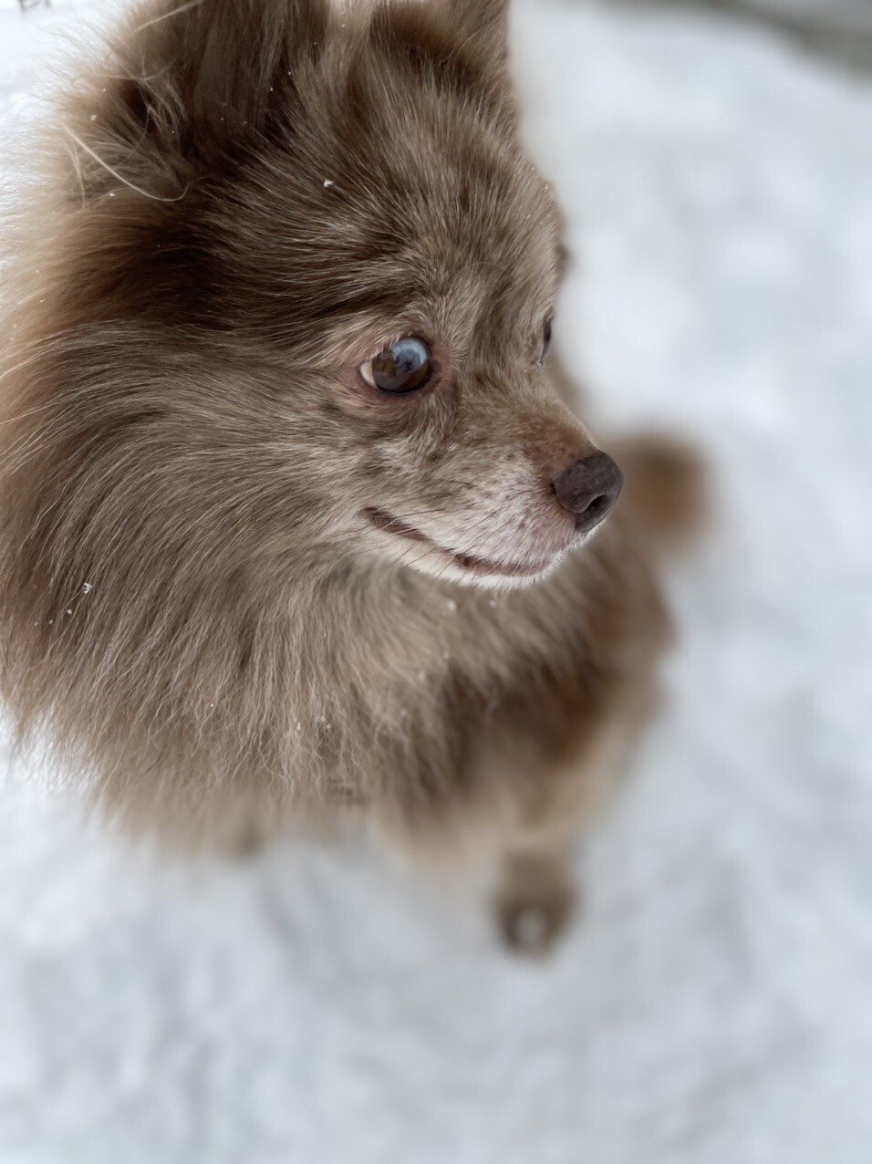 akorenaのページ | YAMAP / ヤマップ