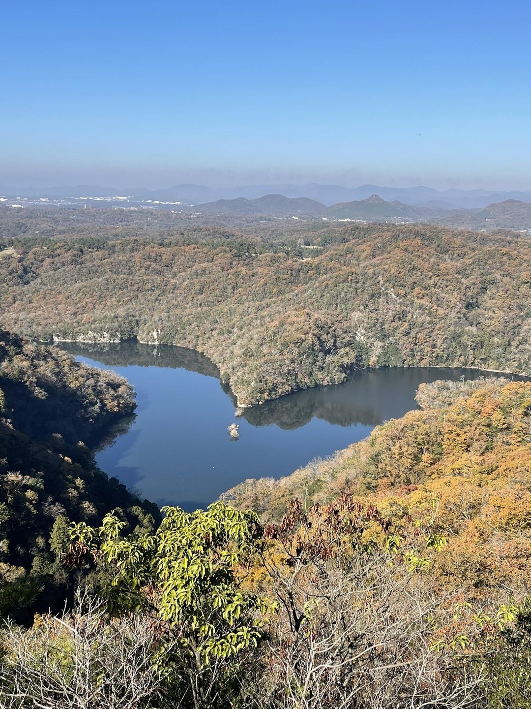 翼🪽〜You are the HERO〜 / 寺ちゃんさんの大岩岳の活動データ | YAMAP / ヤマップ