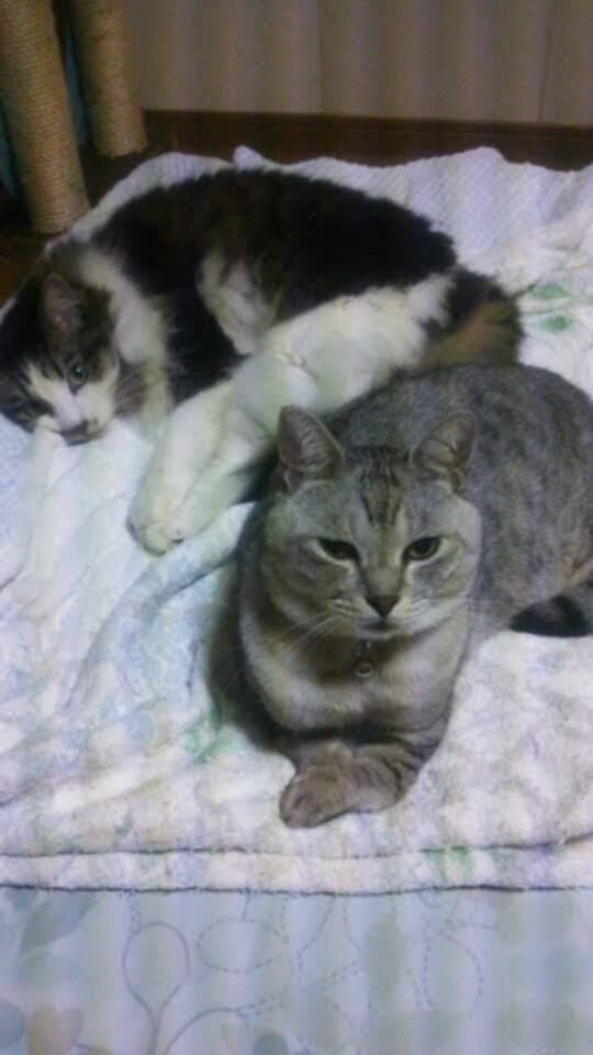 先々月の話になりますが。 いや、ここで... / Tomさんのモーメント | YAMAP / ヤマップ