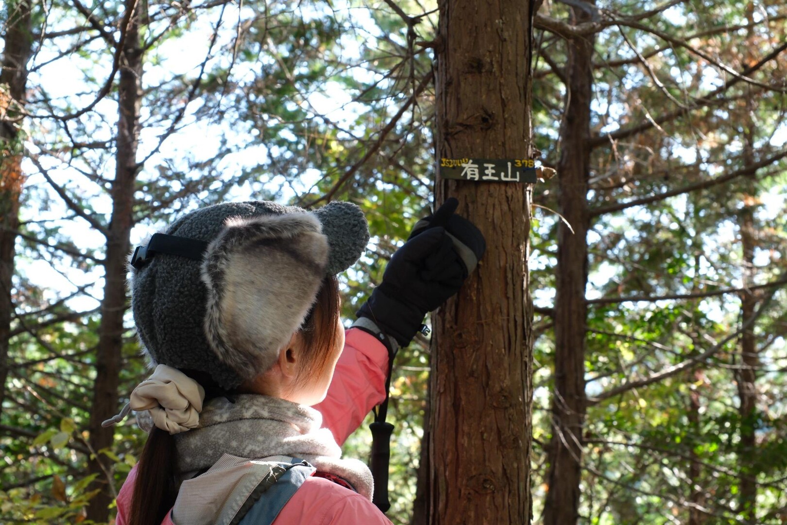 有王山・片原山・片原山南峰・大焼山 / snowpeakさんの三上山・大焼山の活動データ | YAMAP / ヤマップ