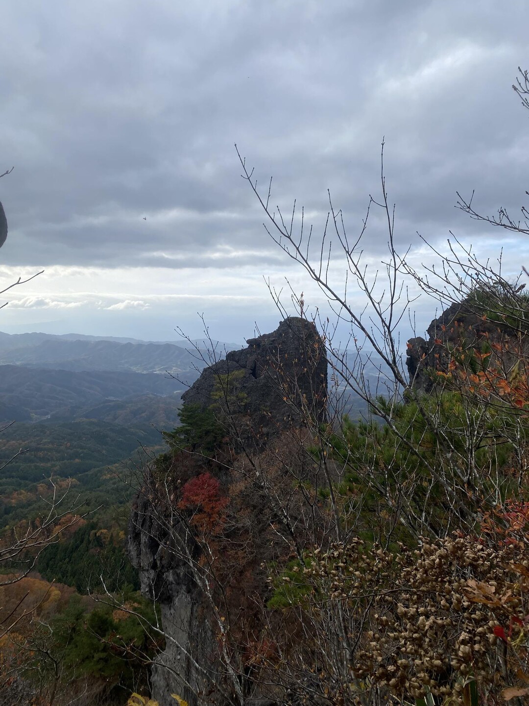 霊山-2024-11-16 / sanaviさんの霊山の活動データ | YAMAP / ヤマップ