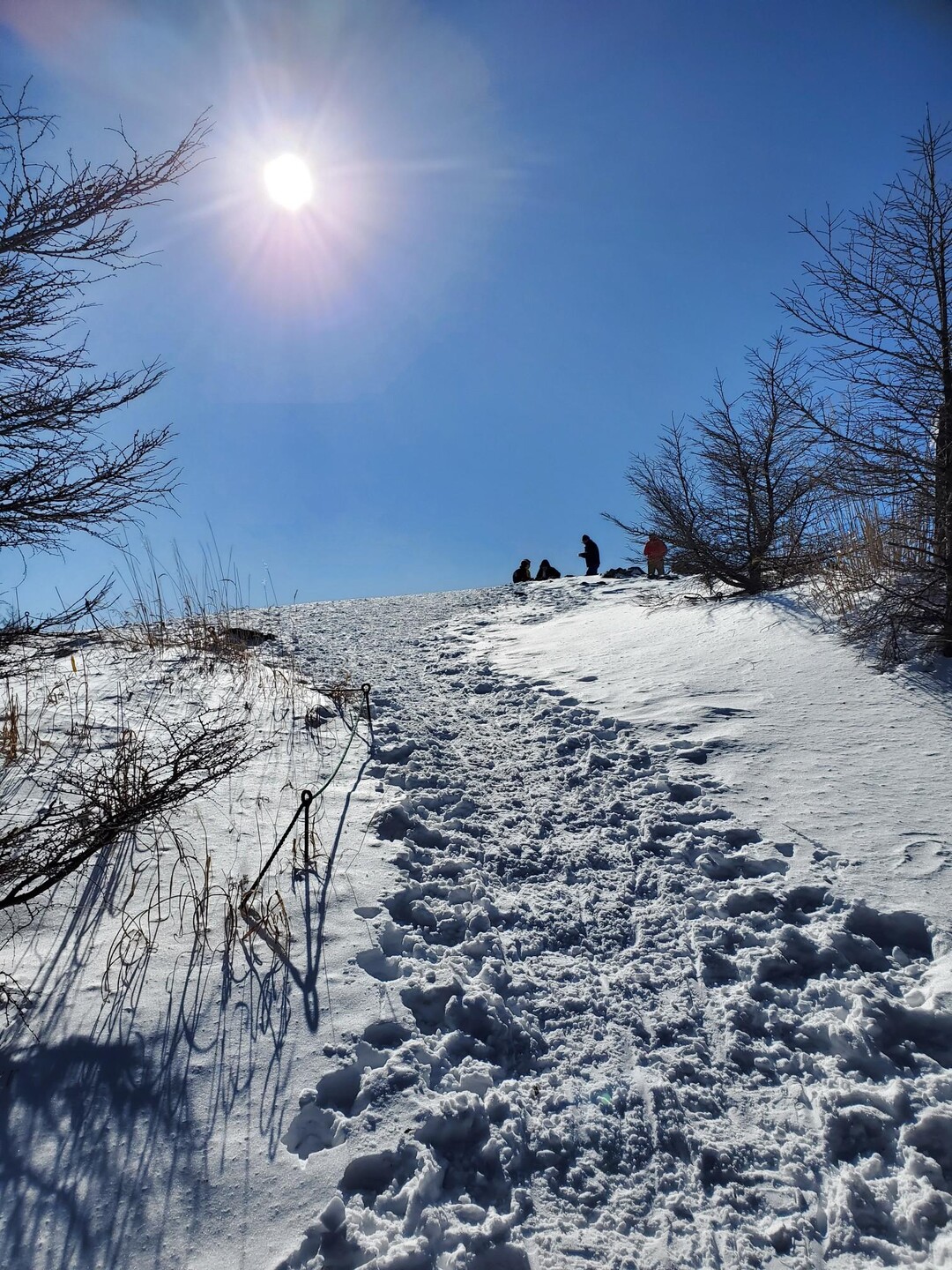 初めまして、入笠山🎵 / Keiko さんの入笠山の活動データ | YAMAP / ヤマップ