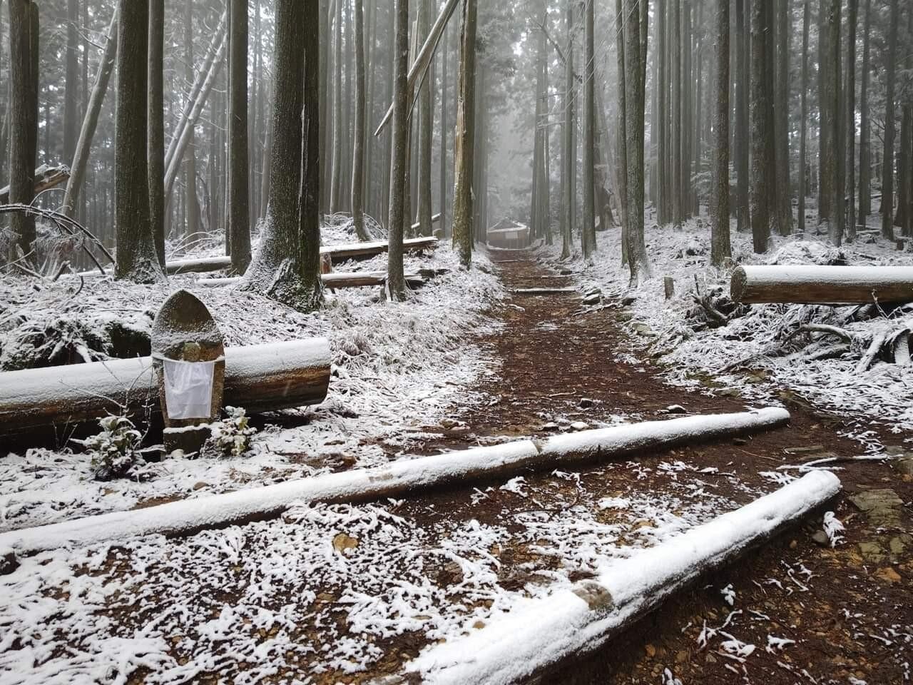 🎵 春時雨八合目から春の雪 悟... / 京悟空さんのモーメント | YAMAP / ヤマップ