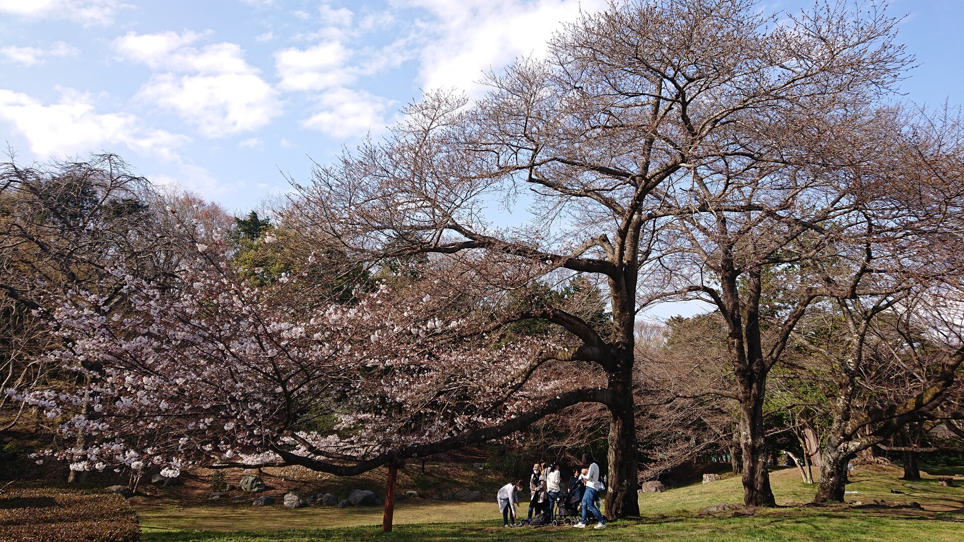 岩本山・明星山 / fuu-rinさんの岩本山・明星山の活動データ | YAMAP / ヤマップ