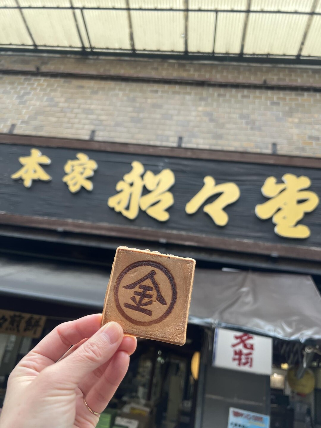 大麻山・象頭山・琴平山・八景山・愛宕山 / ariさんの大麻山・象頭山・琴平山の活動データ | YAMAP / ヤマップ