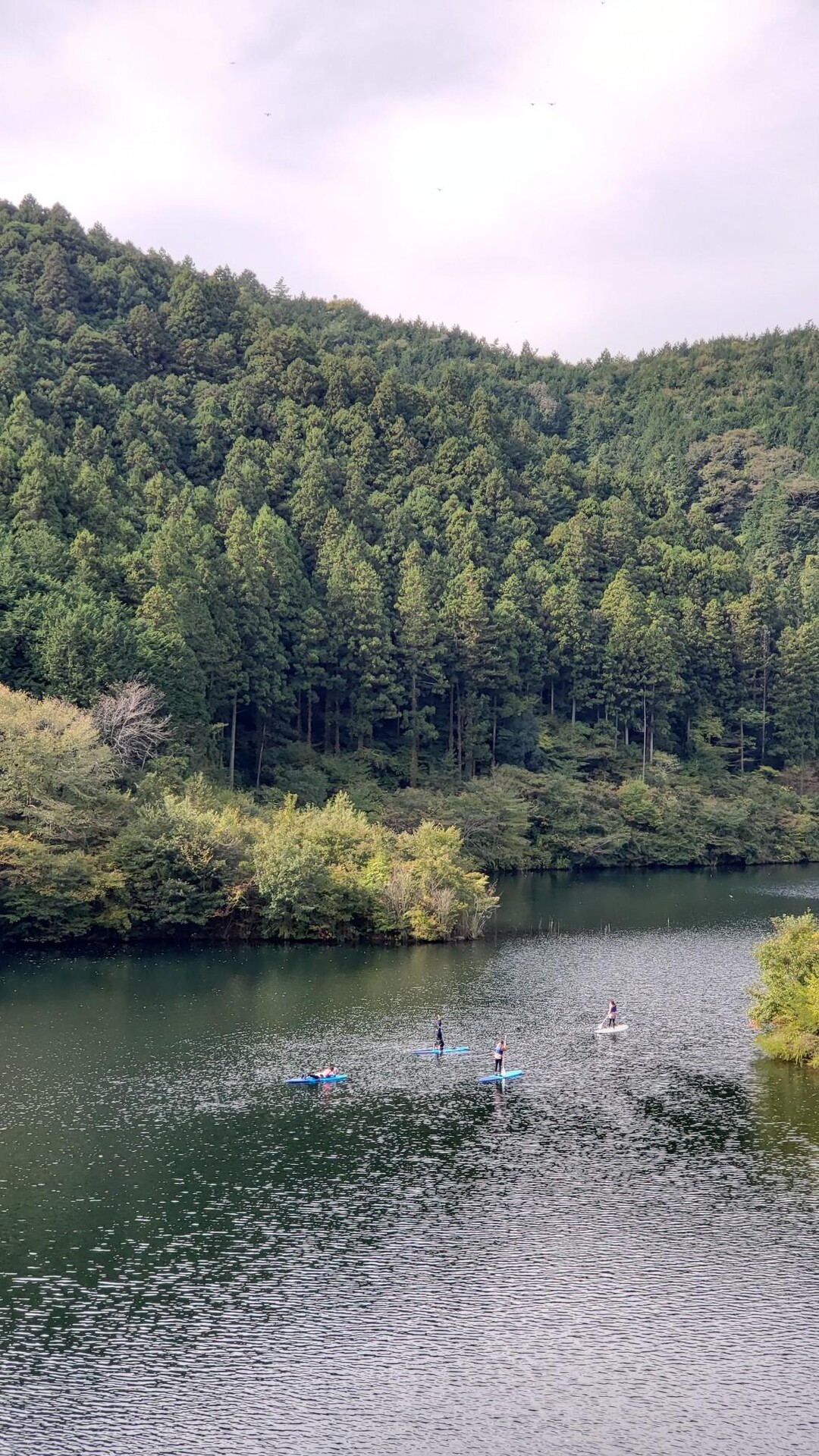 赤沢富士 / str_0307さんの御前山の活動データ | YAMAP / ヤマップ