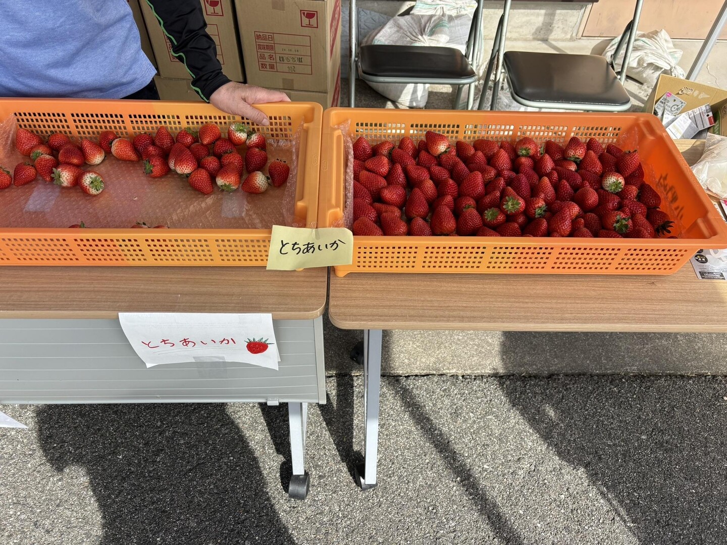 2024しおや100キロウォーク / 007ボンドさんの鶏岳の活動データ | YAMAP / ヤマップ