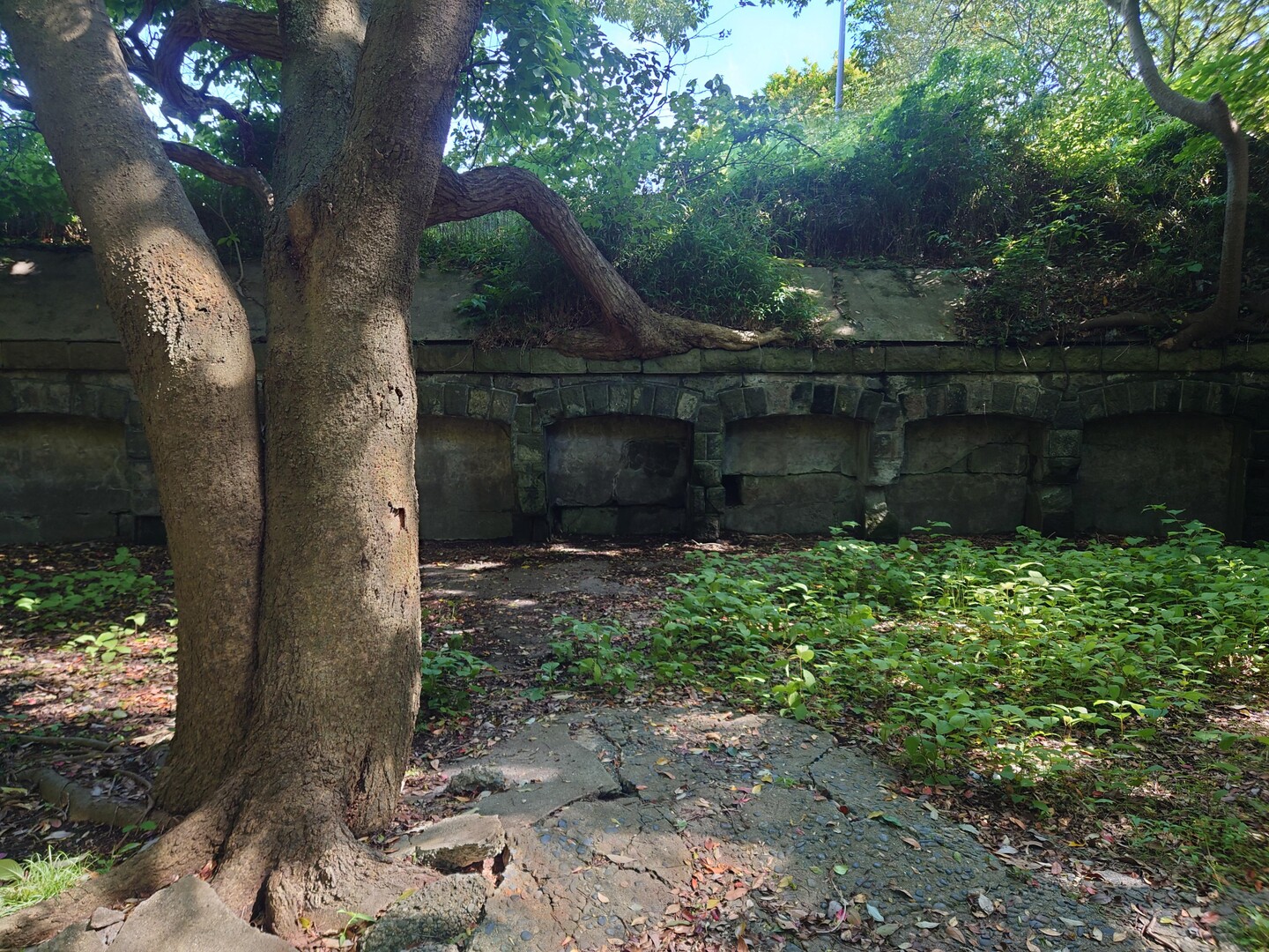 ぶらぶら観音崎公園、砲台跡巡り / StrayCatさんのよこすかロゲイニングの活動日記 | YAMAP / ヤマップ