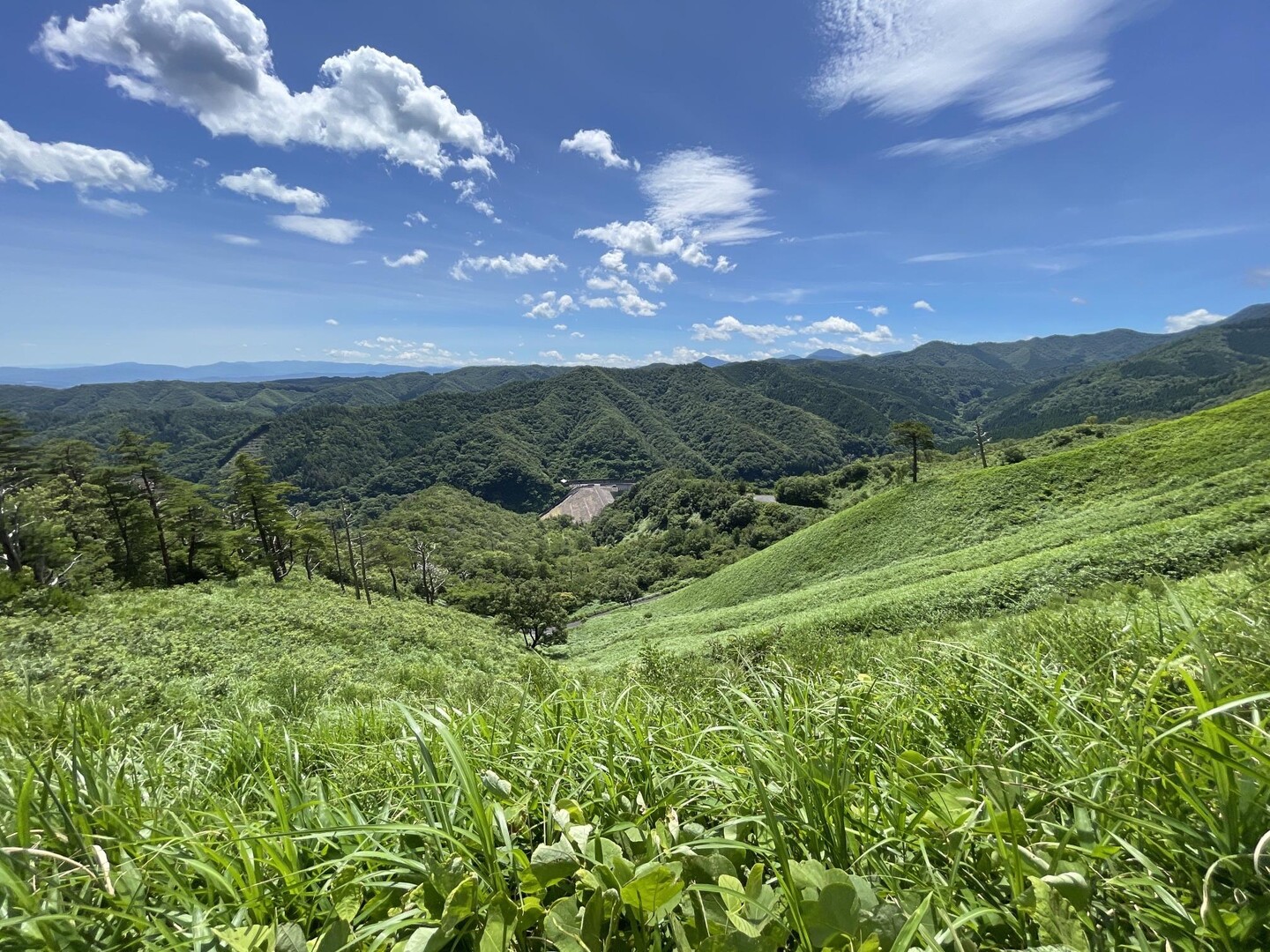 船上山 / umonさんの大山・甲ヶ山・野田ヶ山の活動データ | YAMAP / ヤマップ